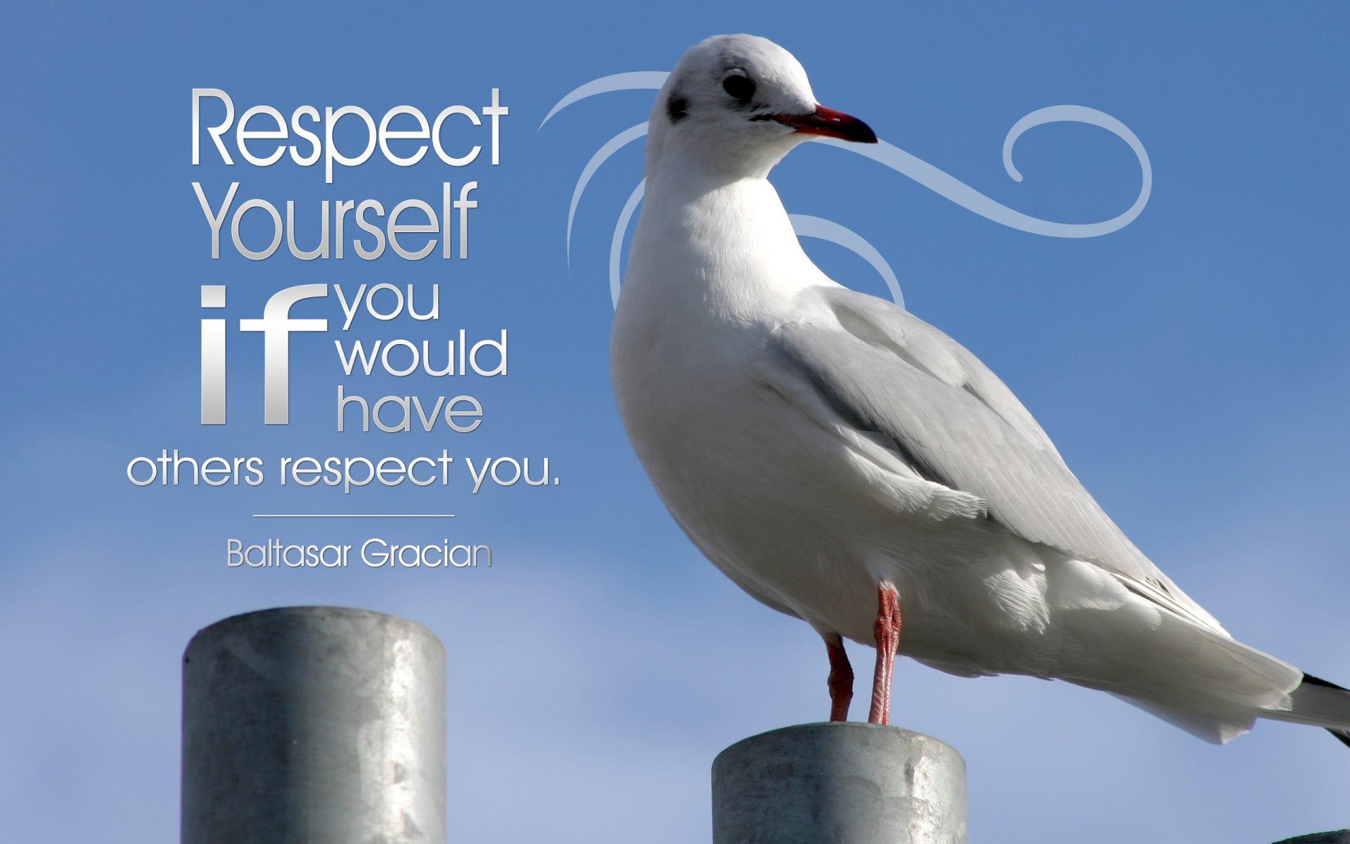 Self Respect Wallpapers - Top Free Self Respect Backgrounds ...
