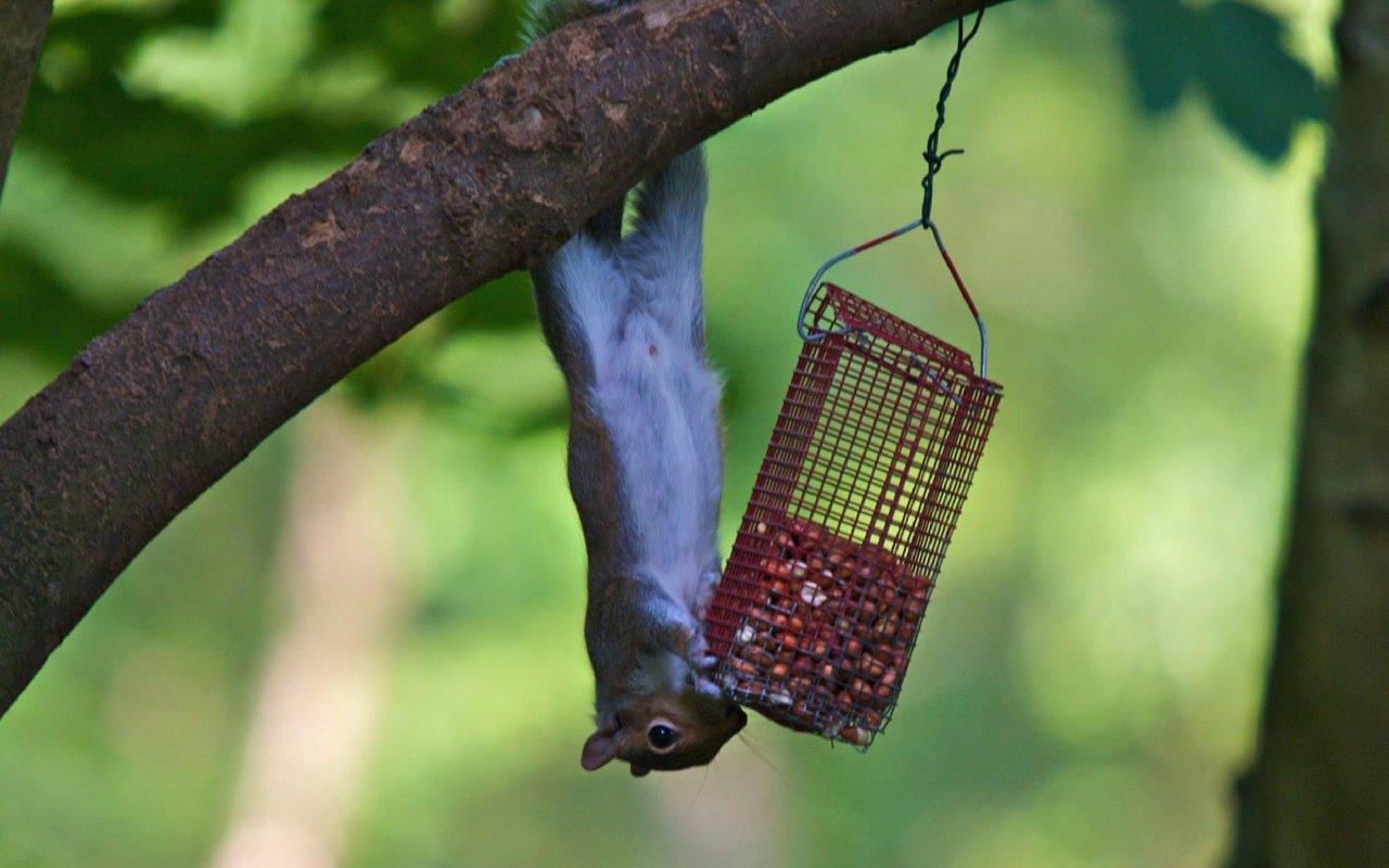 Sincap Wallpapers - Top Free Sincap Backgrounds - WallpaperAccess