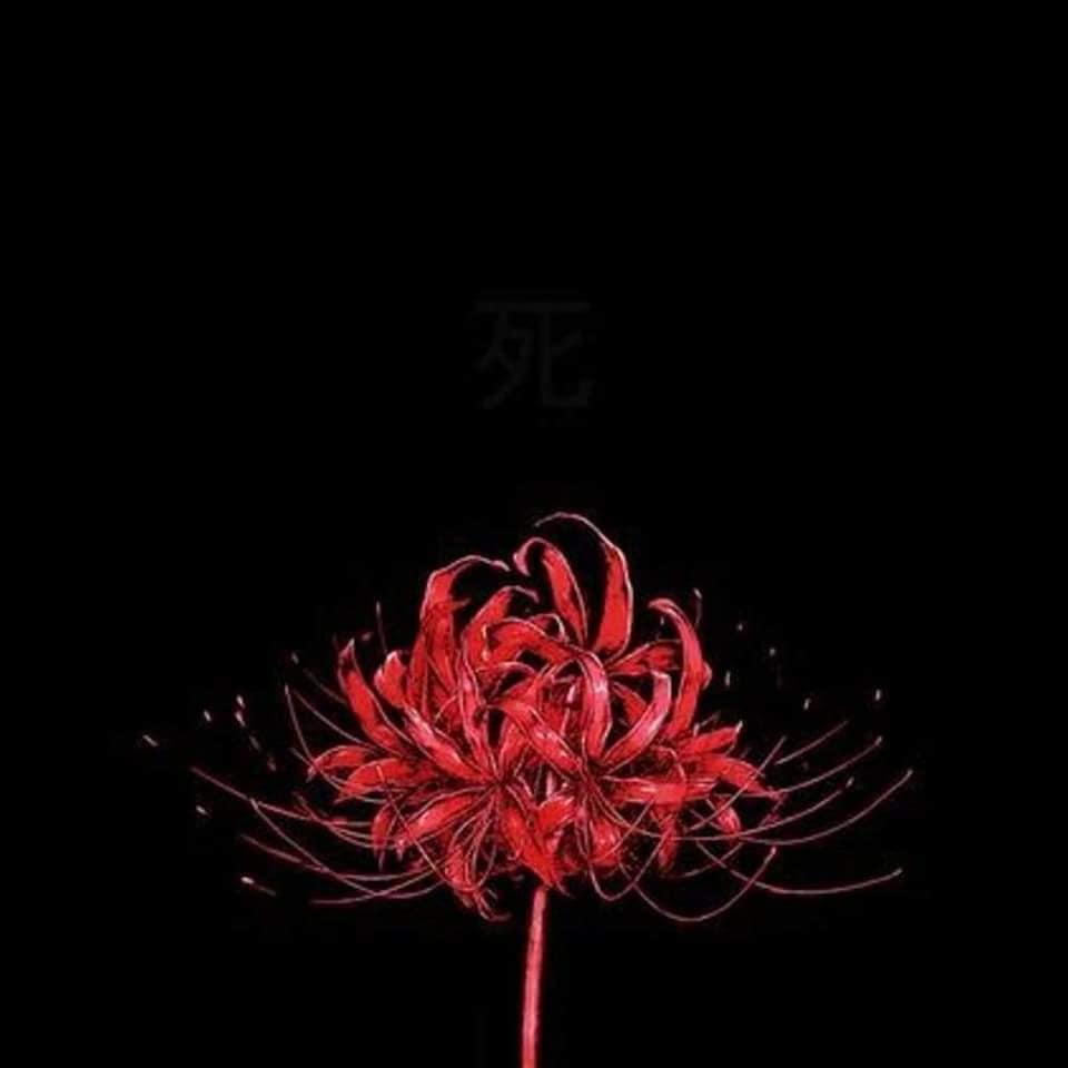 Demon Slayer Flower Wallpapers - Top Free Demon Slayer Flower ...