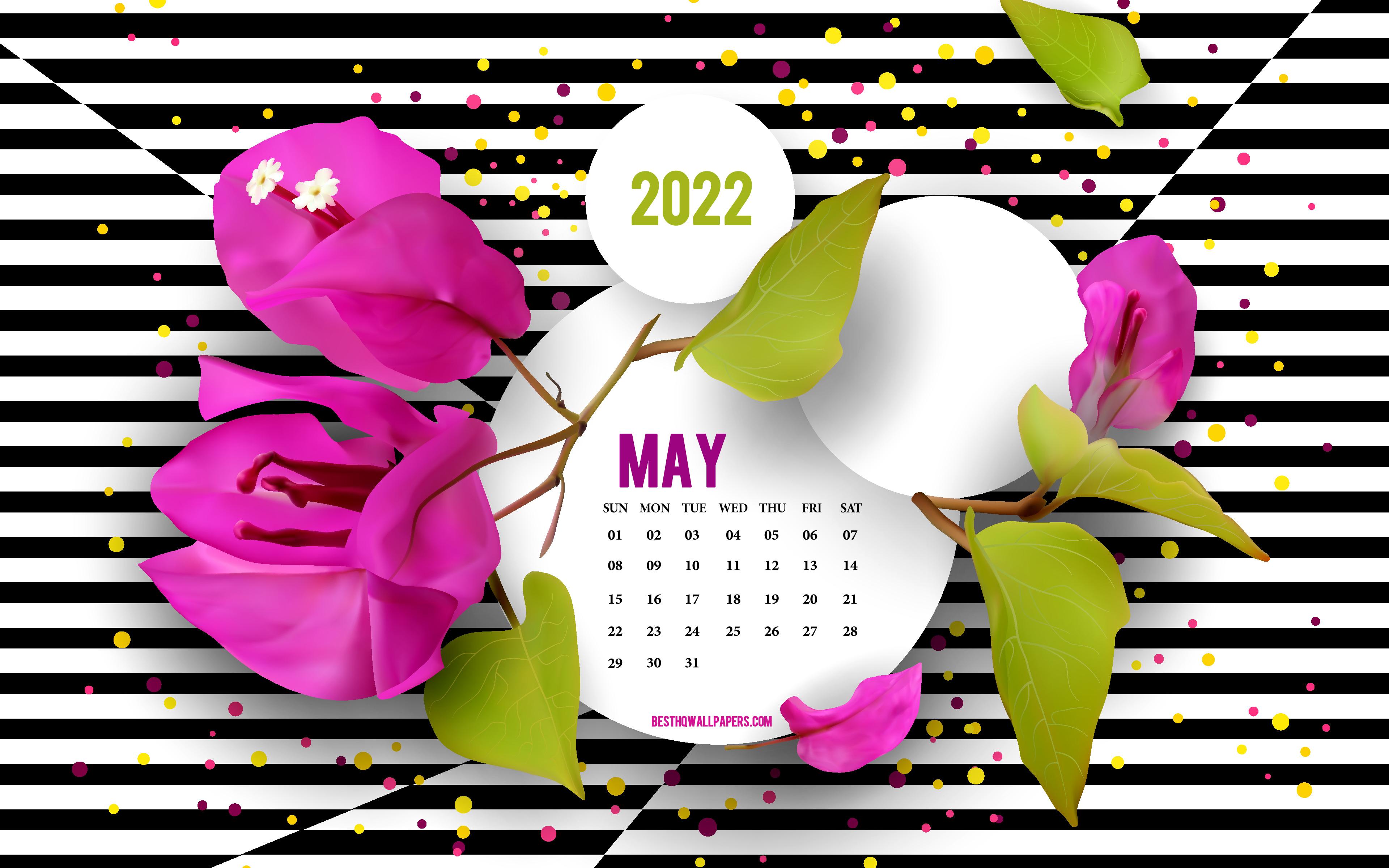 May 2022 Calendar Wallpapers - Top Free May 2022 Calendar Backgrounds ...