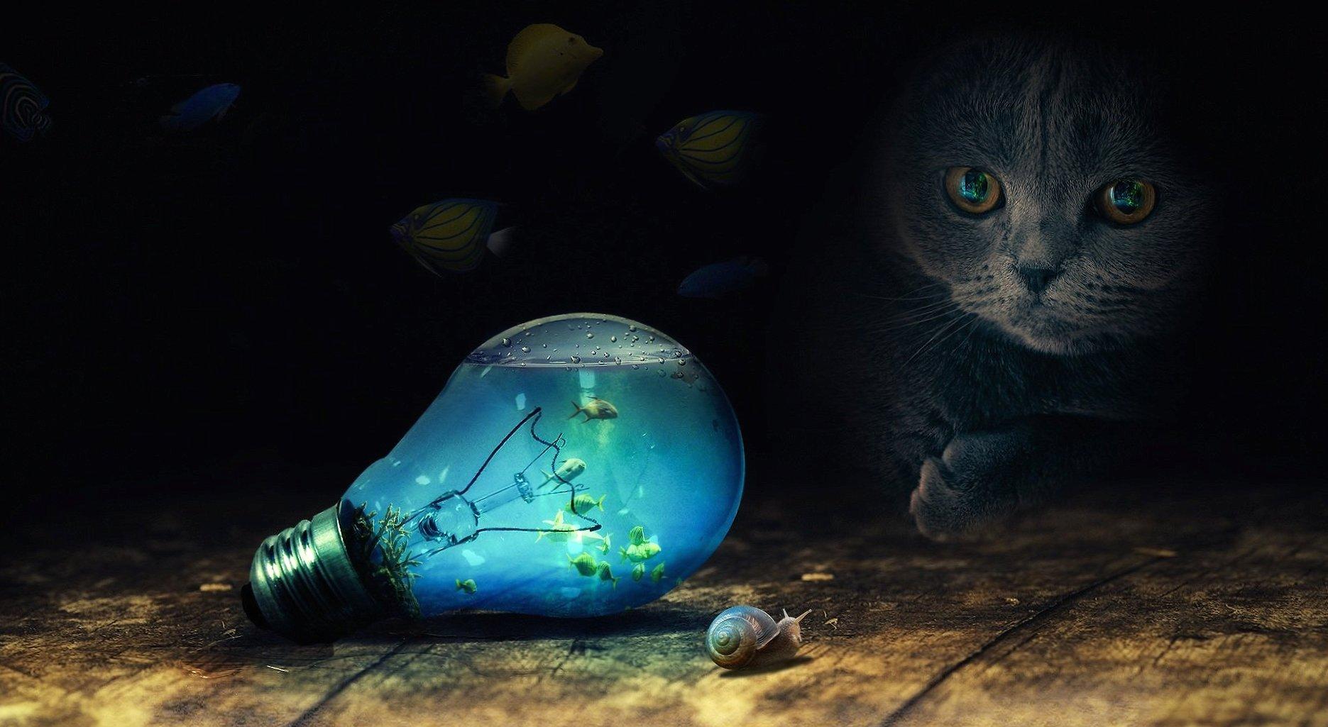 Photo Manipulation Wallpapers - Top Free Photo Manipulation Backgrounds ...