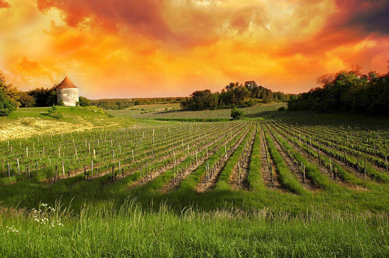 Bordeaux Wine Wallpapers - Top Free Bordeaux Wine Backgrounds - WallpaperAccess