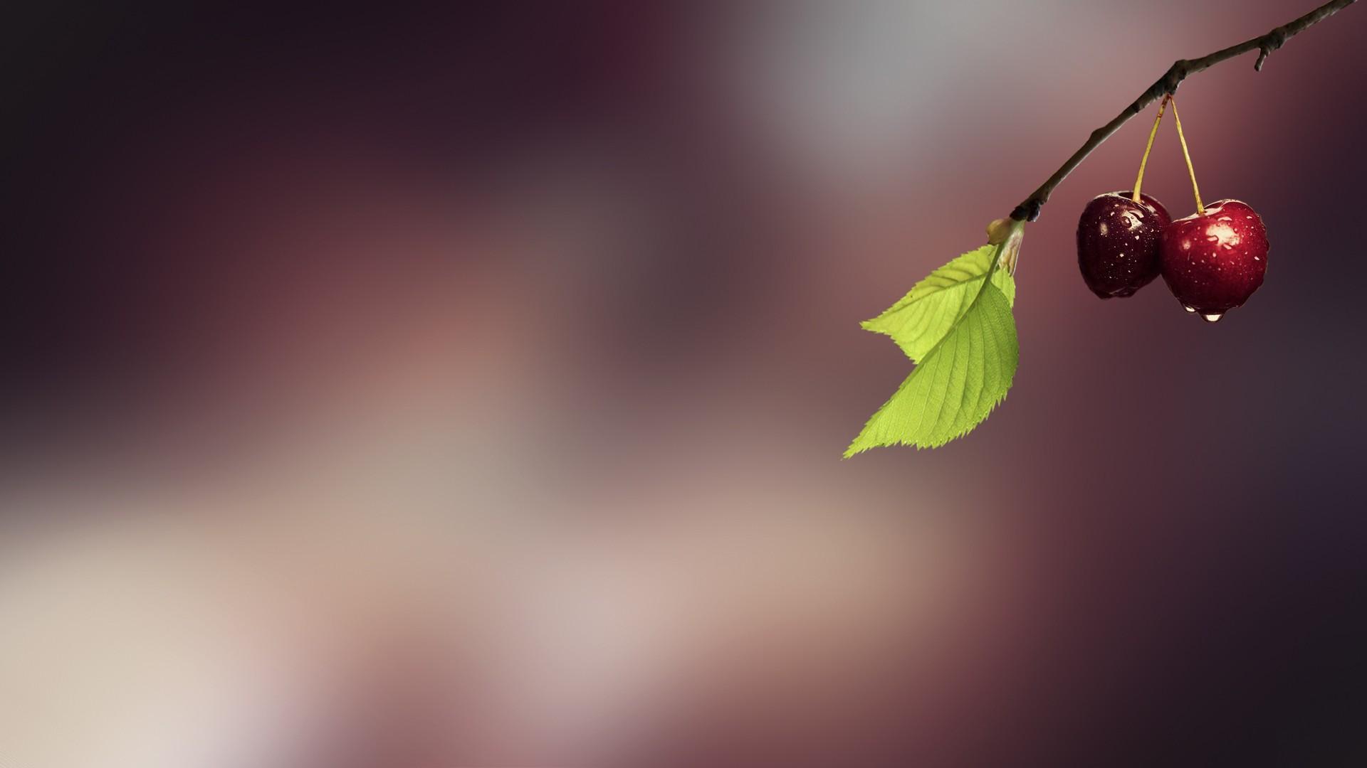 HD Macro Wallpapers - Top Free HD Macro Backgrounds - WallpaperAccess