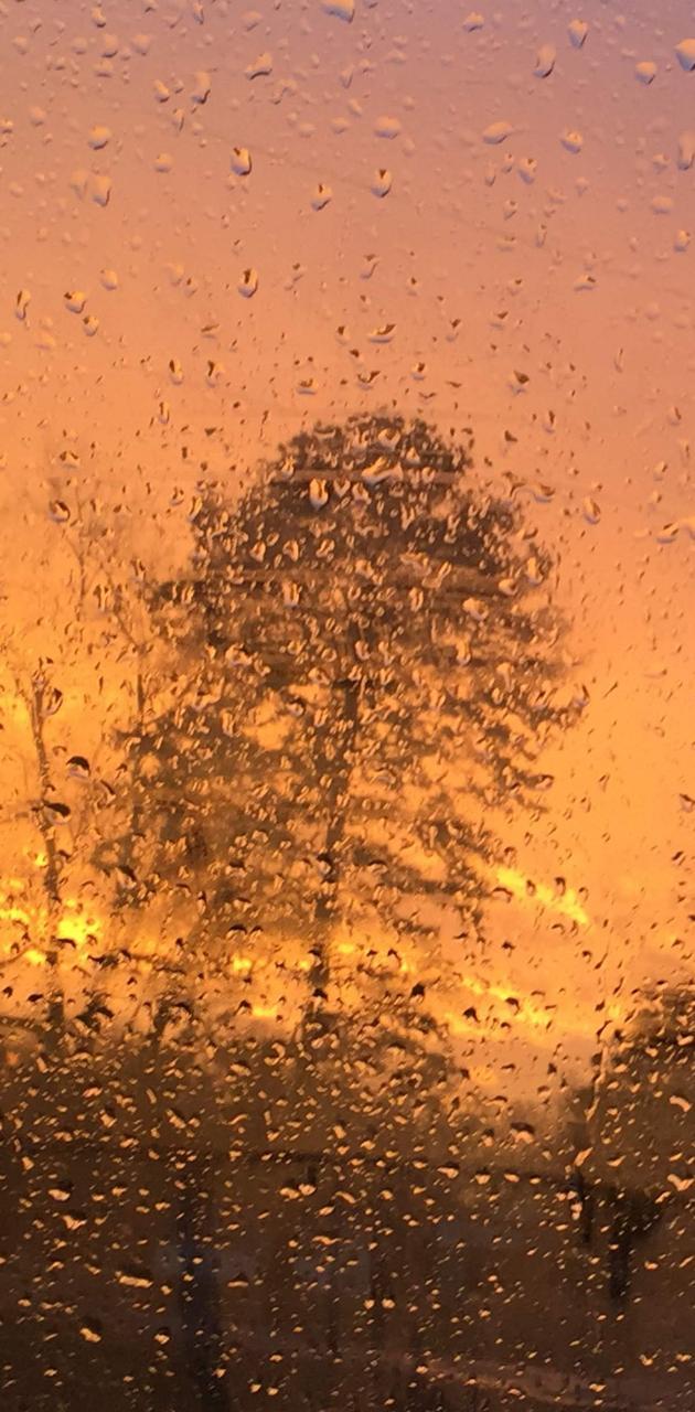 Gold Rain Wallpapers - Top Free Gold Rain Backgrounds - WallpaperAccess