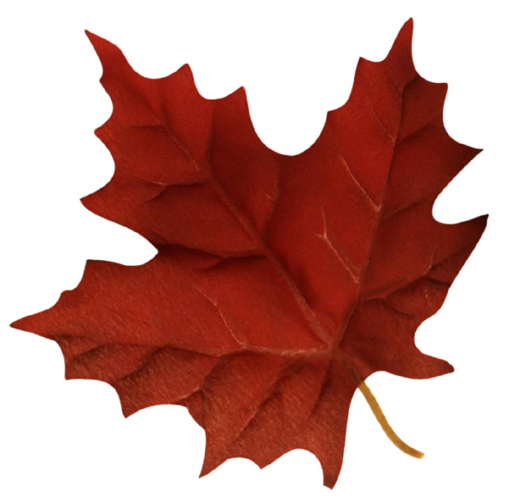 Canada Maple Leaf Wallpapers - Top Free Canada Maple Leaf Backgrounds ...