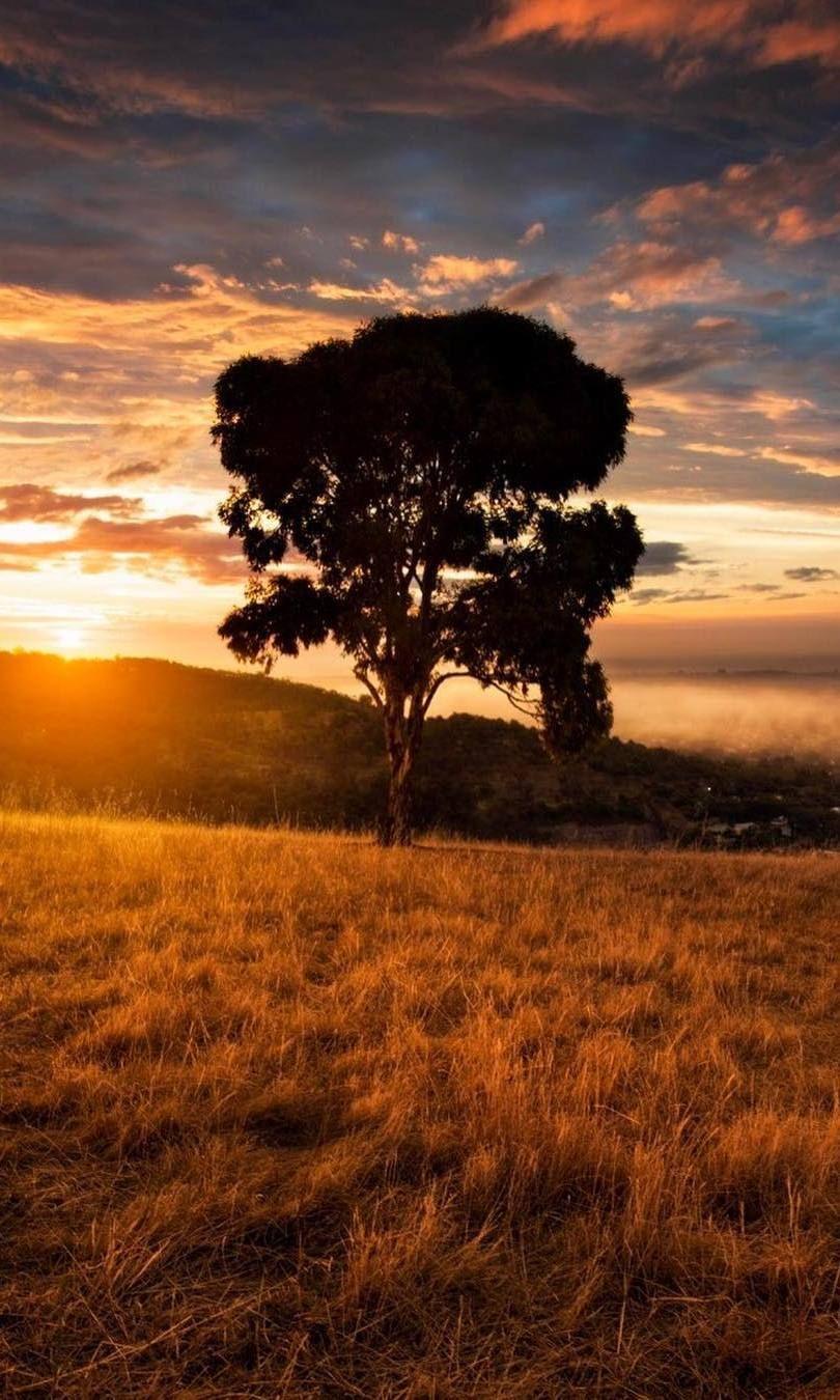 Nature Android HD Wallpapers - Top Free Nature Android HD Backgrounds ...