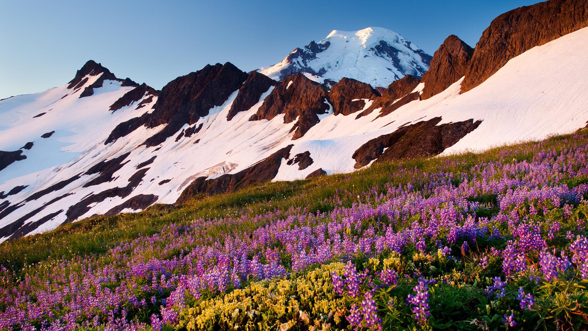 Amazing Landscape Wallpapers - Top Free Amazing Landscape Backgrounds ...