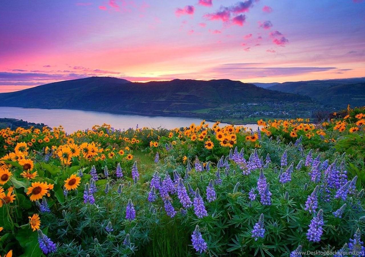 Amazing Landscape Wallpapers - Top Free Amazing Landscape Backgrounds ...