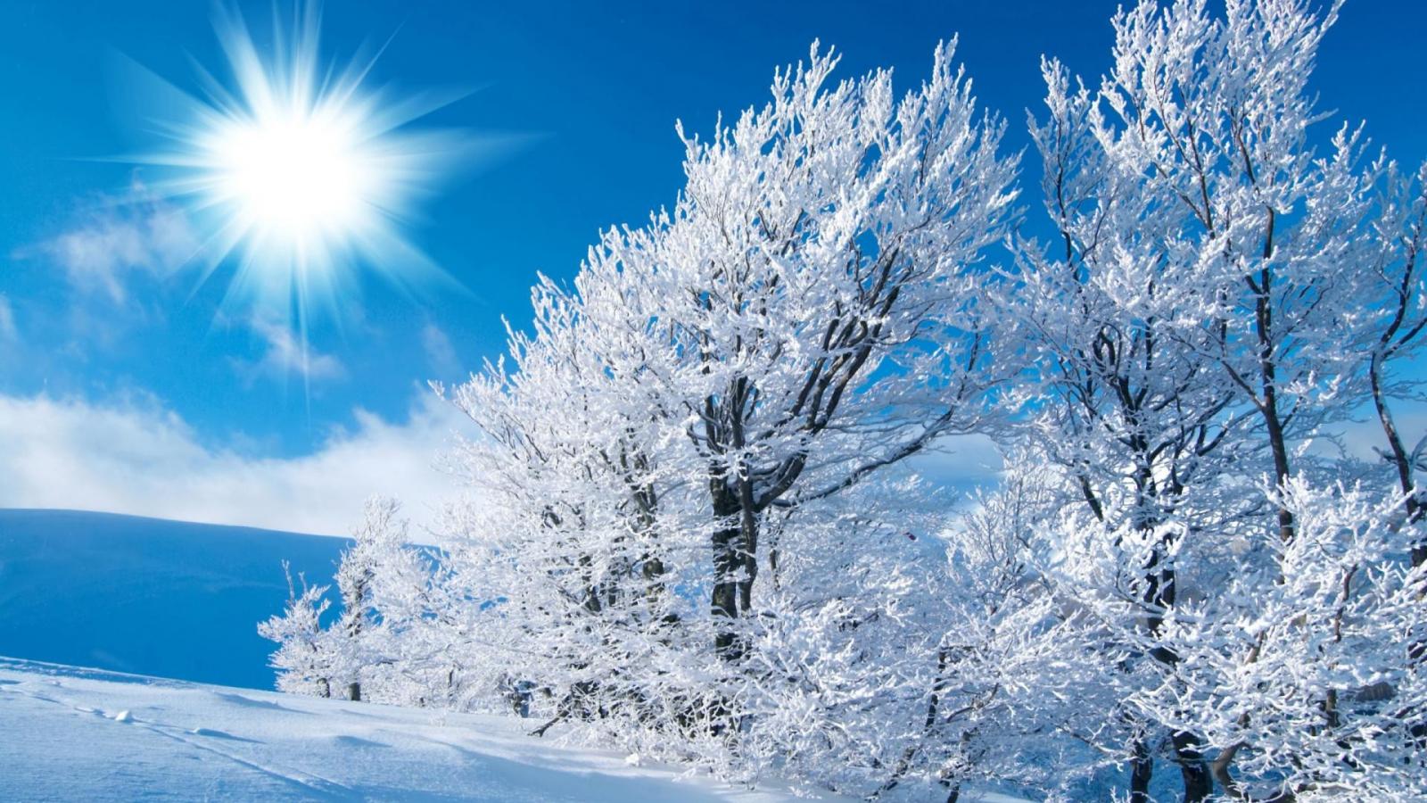 Sunny Winter Wallpapers - Top Free Sunny Winter Backgrounds ...