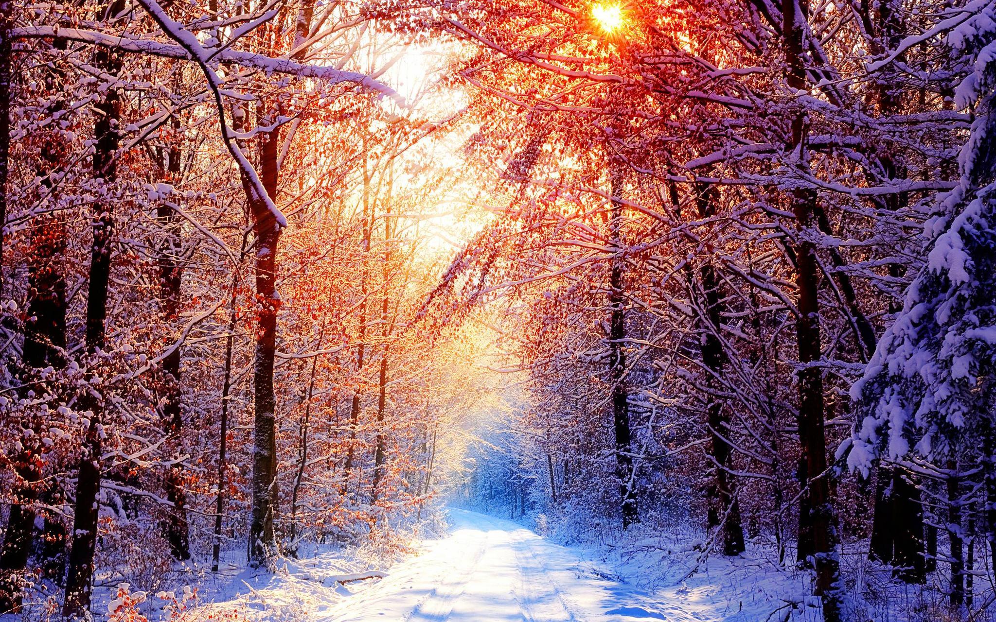 Sunny Winter Wallpapers - Top Free Sunny Winter Backgrounds ...