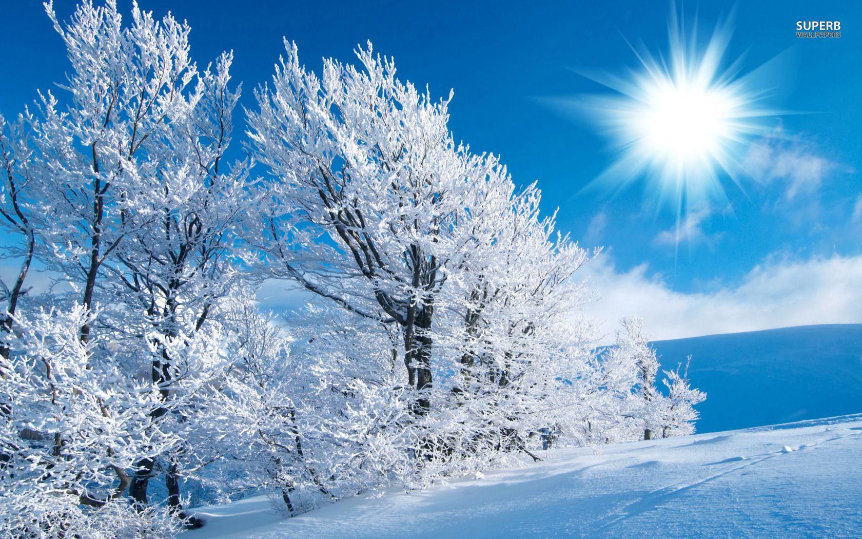 Sunny Winter Wallpapers - Top Free Sunny Winter Backgrounds ...