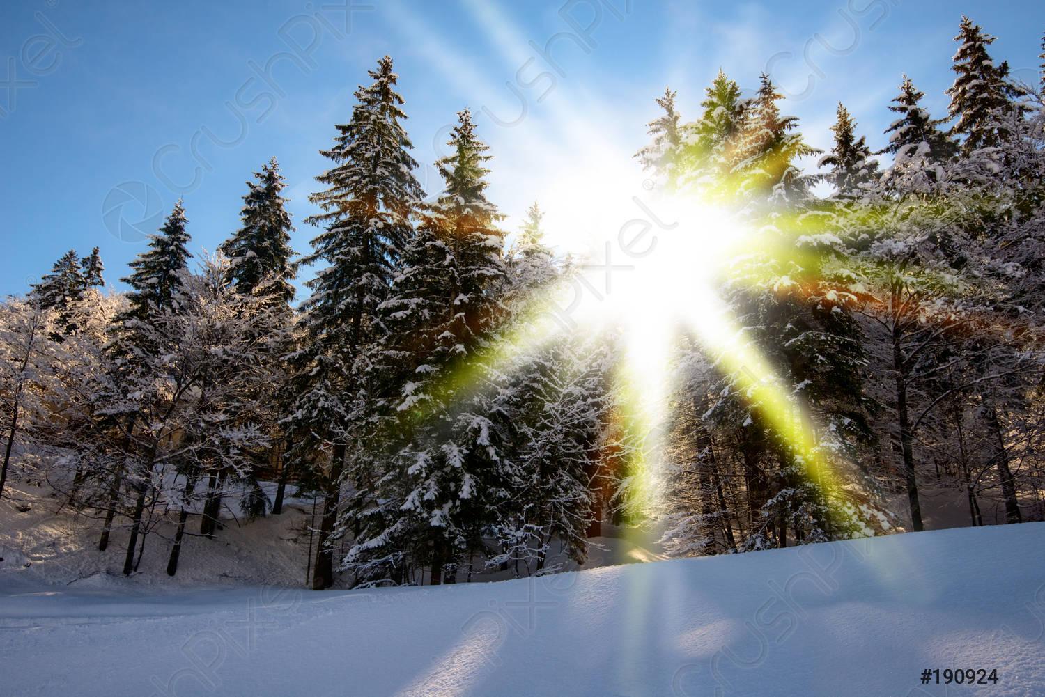 Sunny Winter Wallpapers - Top Free Sunny Winter Backgrounds ...