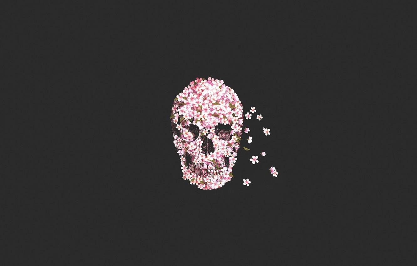 Flower Skull Wallpapers - Top Free Flower Skull Backgrounds ...