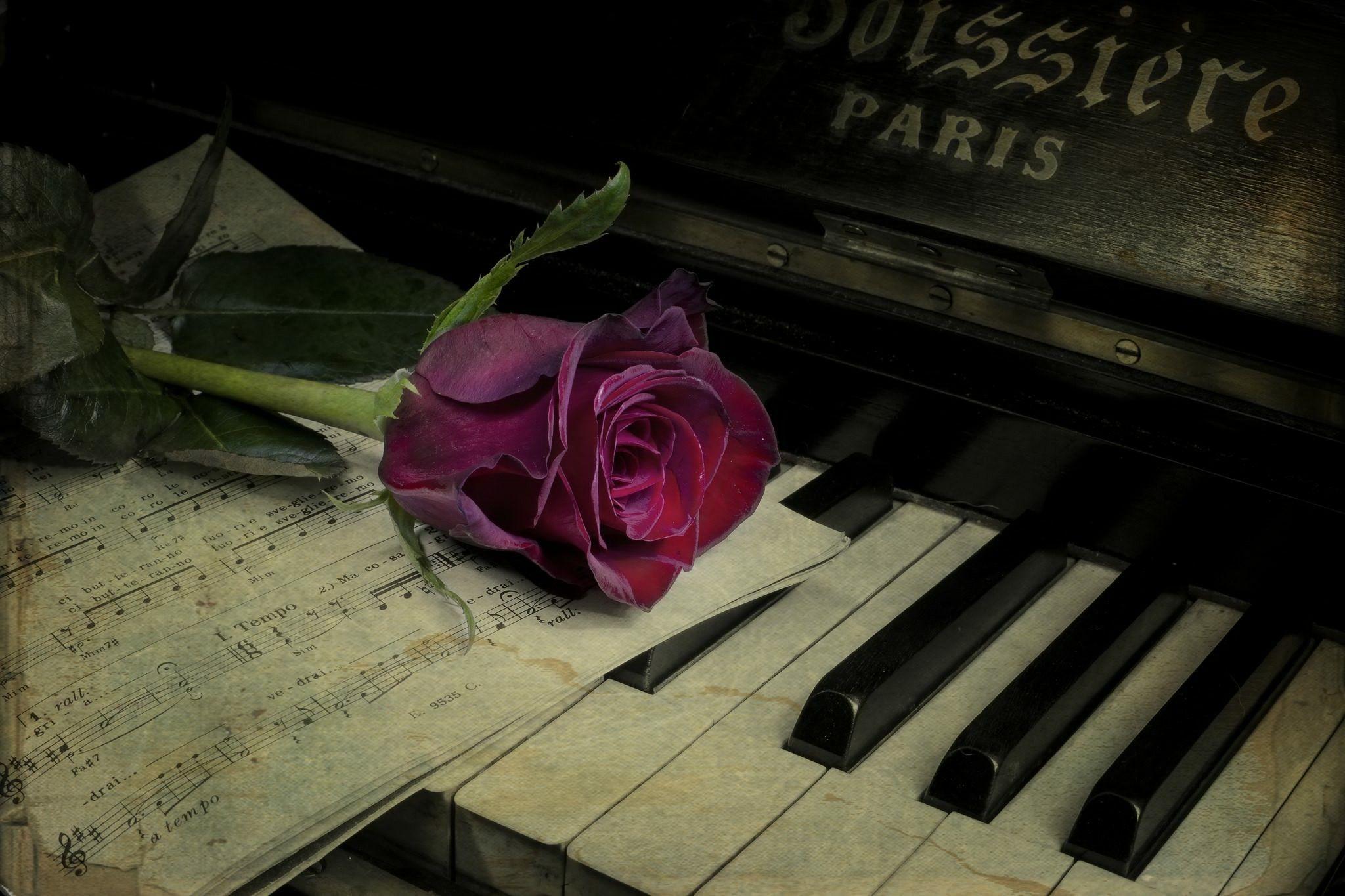 Piano and Flowers Wallpapers - Top Free Piano and Flowers Backgrounds ...