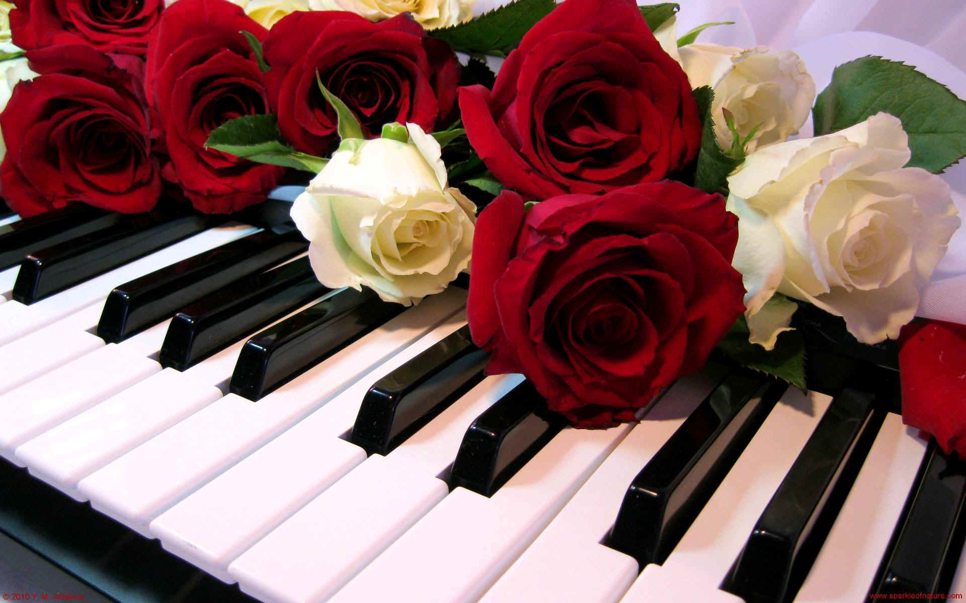Piano and Flowers Wallpapers - Top Free Piano and Flowers Backgrounds ...