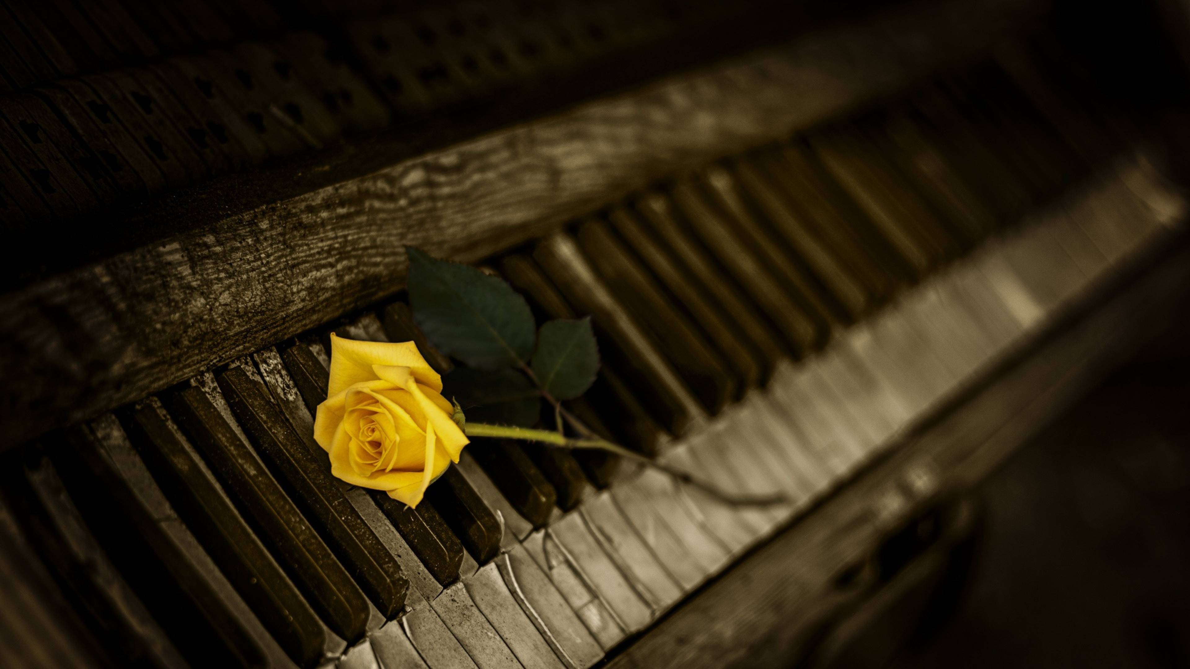Piano and Flowers Wallpapers - Top Free Piano and Flowers Backgrounds ...