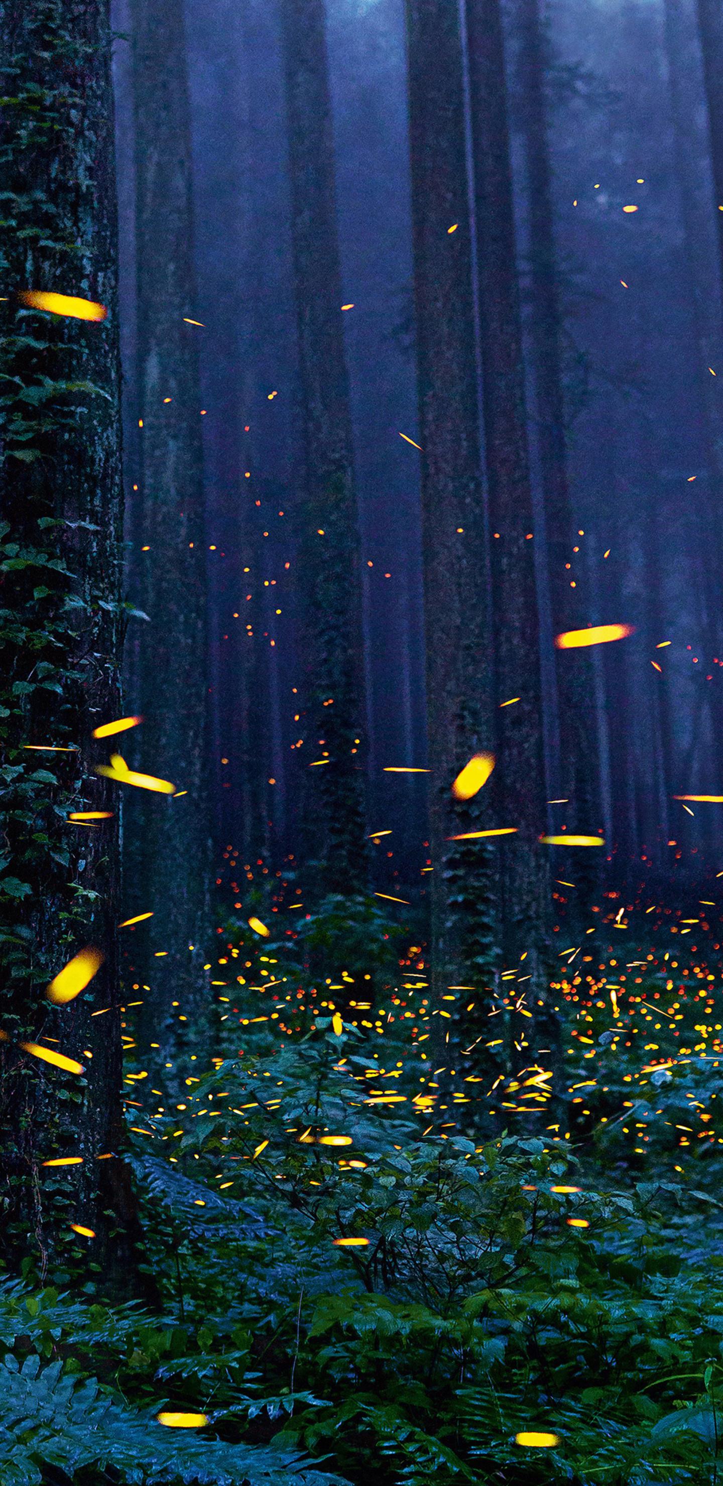 Firefly 4K Wallpapers - Top Free Firefly 4K Backgrounds - WallpaperAccess