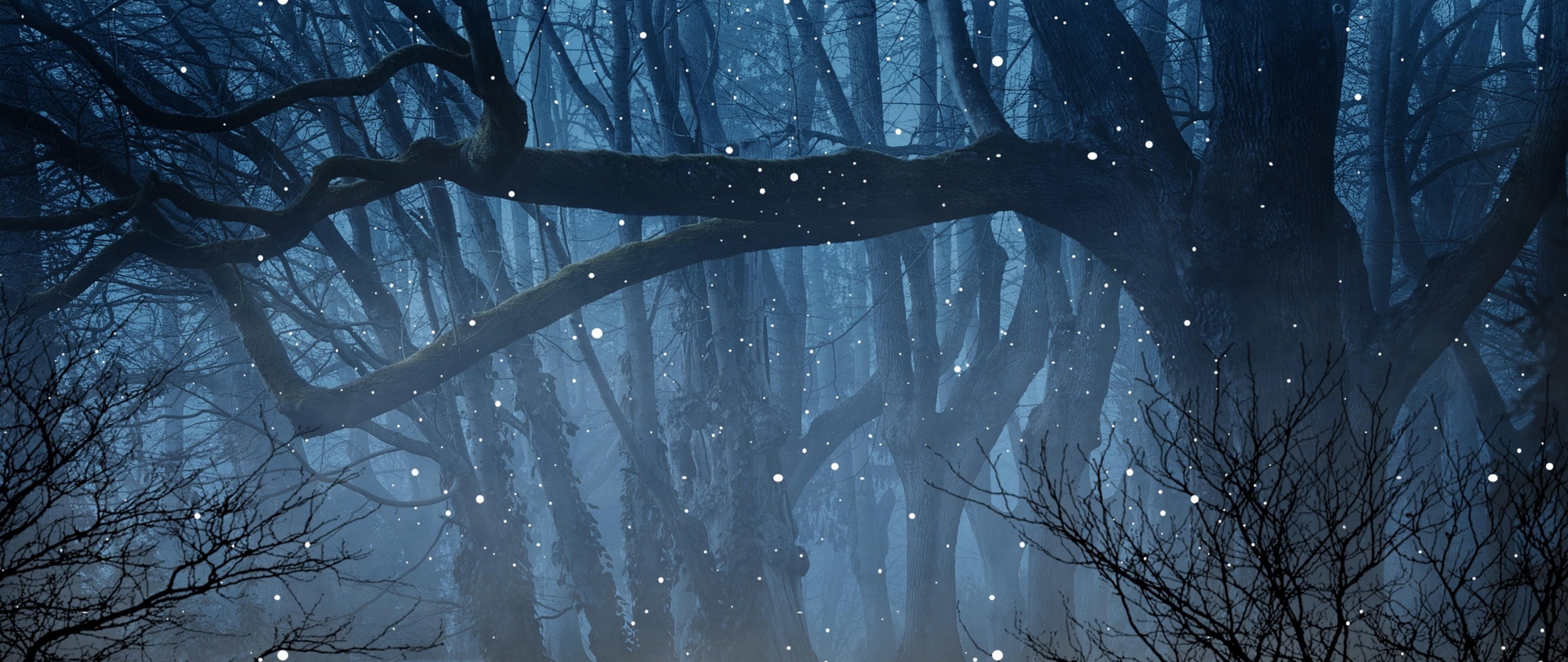 Firefly 4K Wallpapers - Top Free Firefly 4K Backgrounds - WallpaperAccess