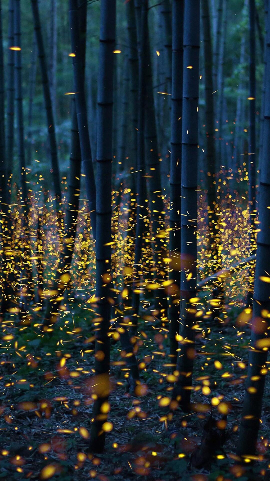 Firefly 4K Wallpapers - Top Free Firefly 4K Backgrounds - WallpaperAccess