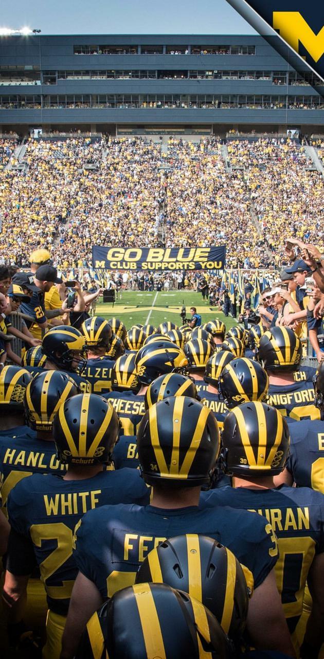 Michigan Stadium Wallpapers - Top Free Michigan Stadium Backgrounds ...