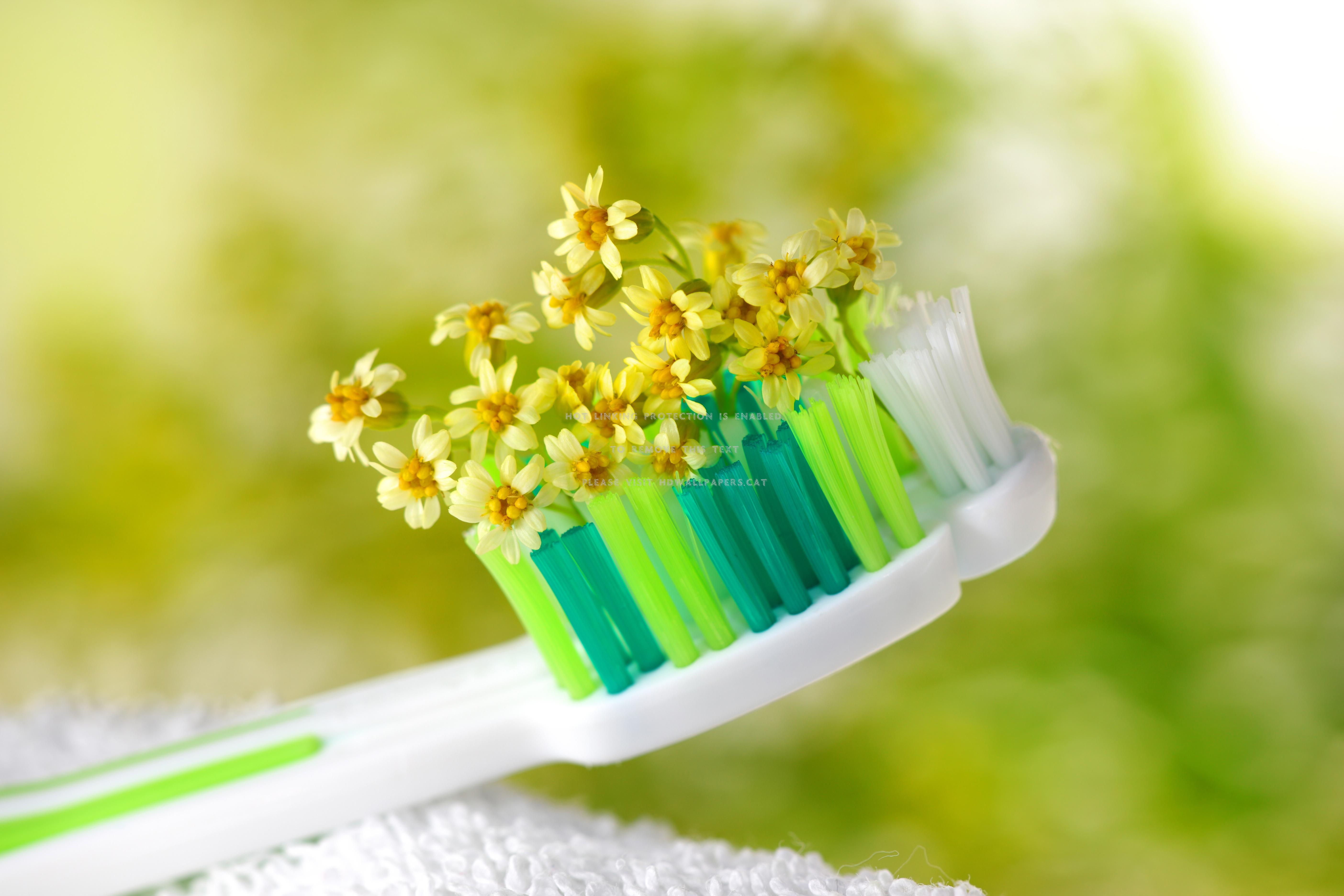 Toothbrush Wallpapers - Top Free Toothbrush Backgrounds - WallpaperAccess