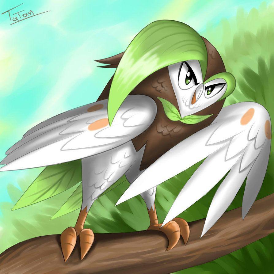 Dartrix Wallpapers - Top Free Dartrix Backgrounds - WallpaperAccess