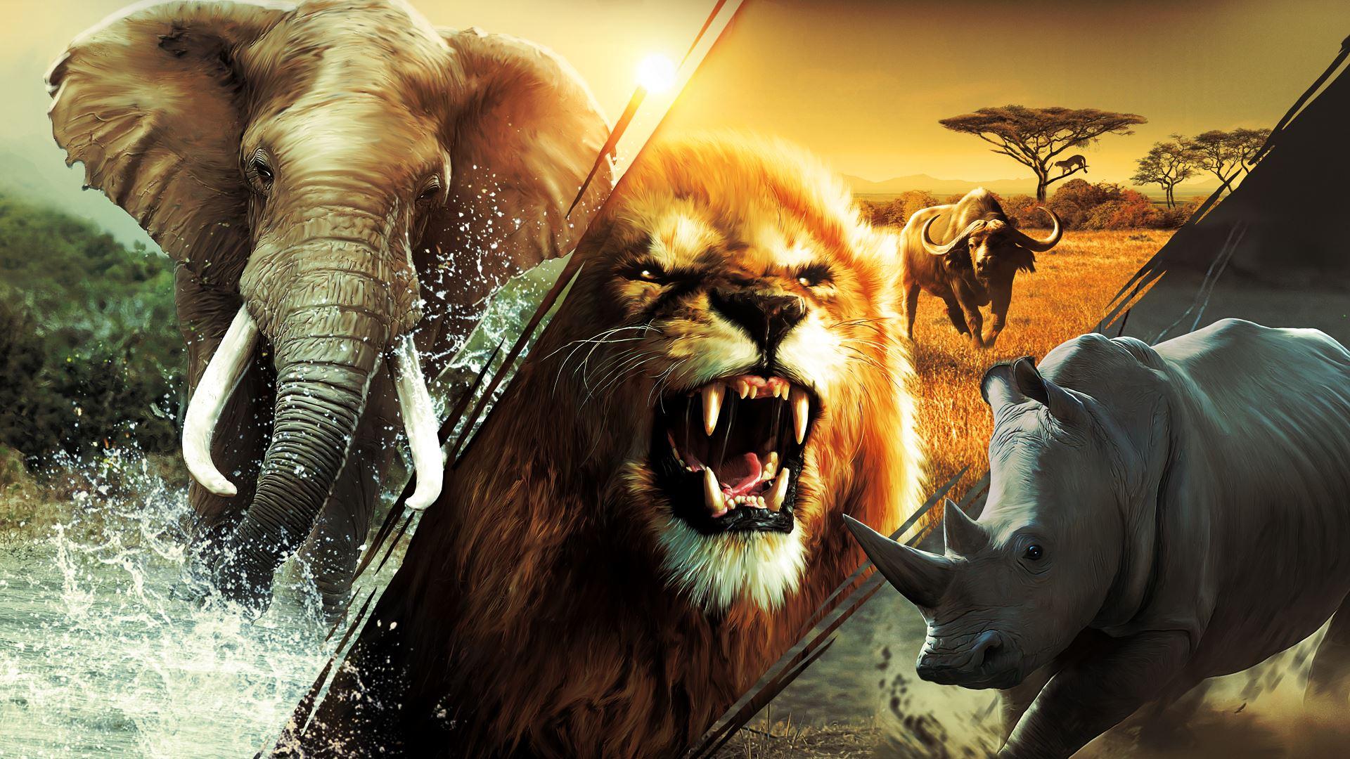 Big Five Wallpapers - Top Free Big Five Backgrounds - WallpaperAccess