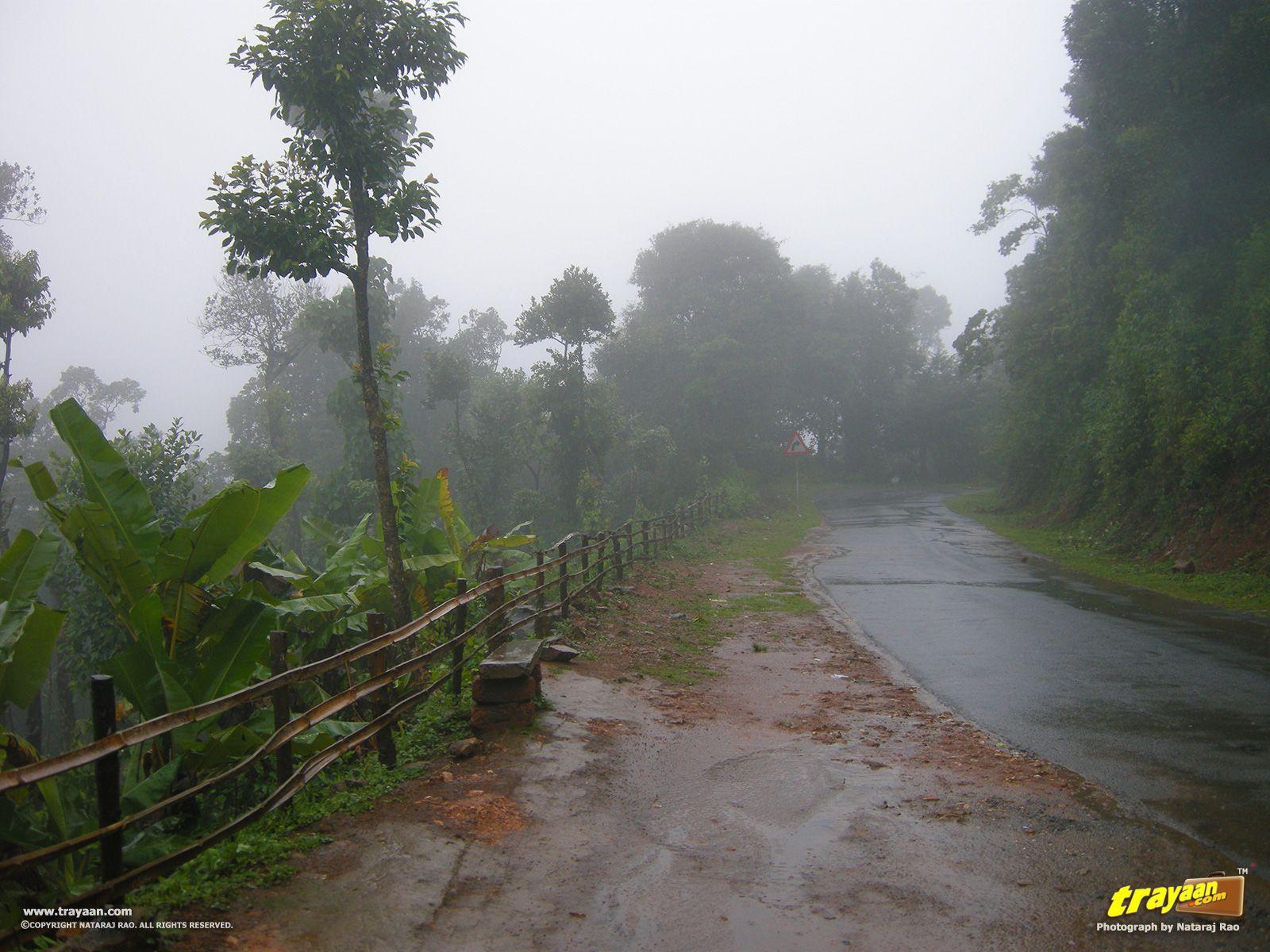 Coorg Wallpapers - Top Free Coorg Backgrounds - WallpaperAccess