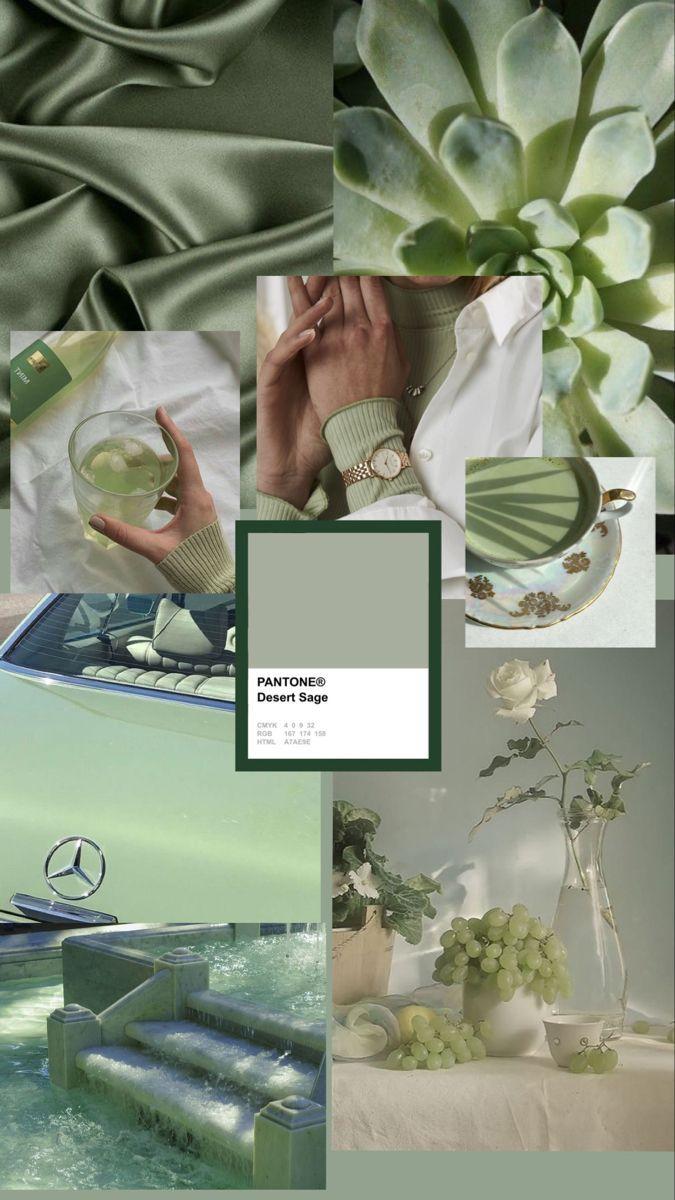 Sage Green Collage Wallpapers - Top Free Sage Green Collage Backgrounds ...