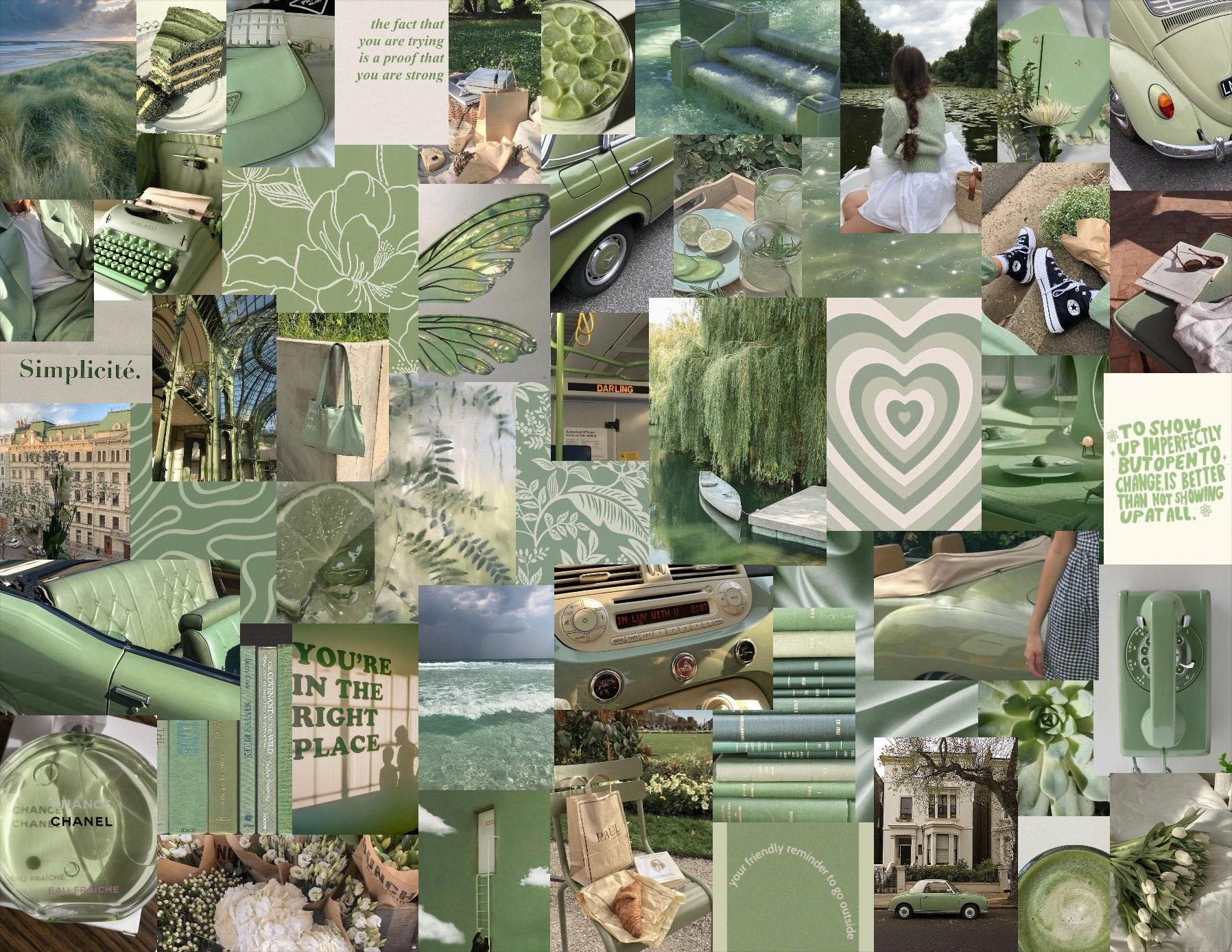 Sage Green Collage Wallpapers - Top Free Sage Green Collage Backgrounds - WallpaperAccess