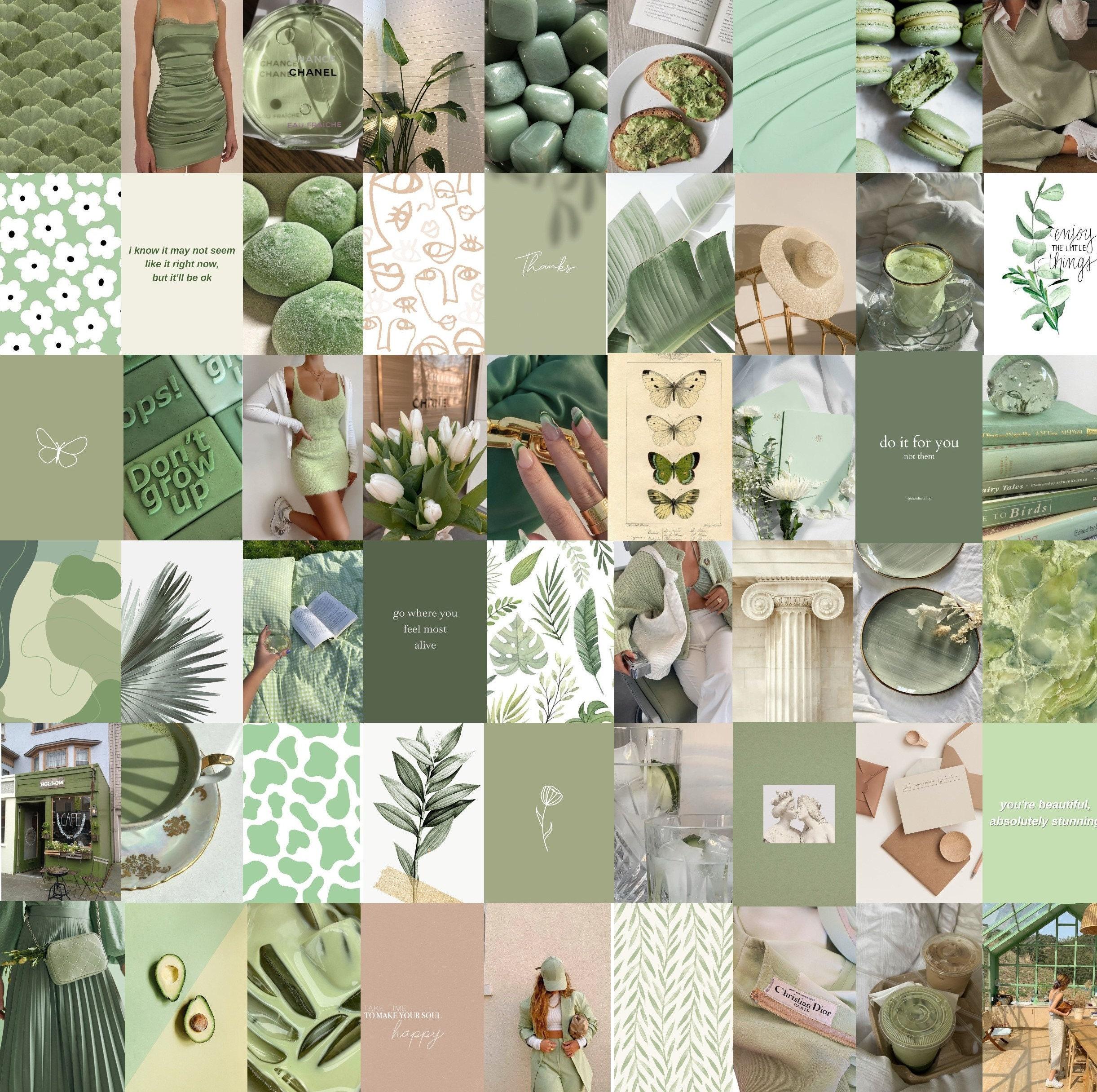Sage Green Collage Wallpapers - Top Free Sage Green Collage Backgrounds ...