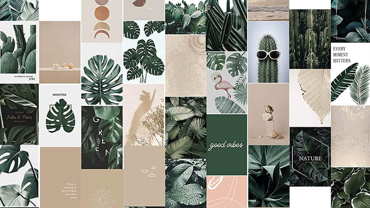 Sage Green Collage Wallpapers - Top Free Sage Green Collage Backgrounds ...