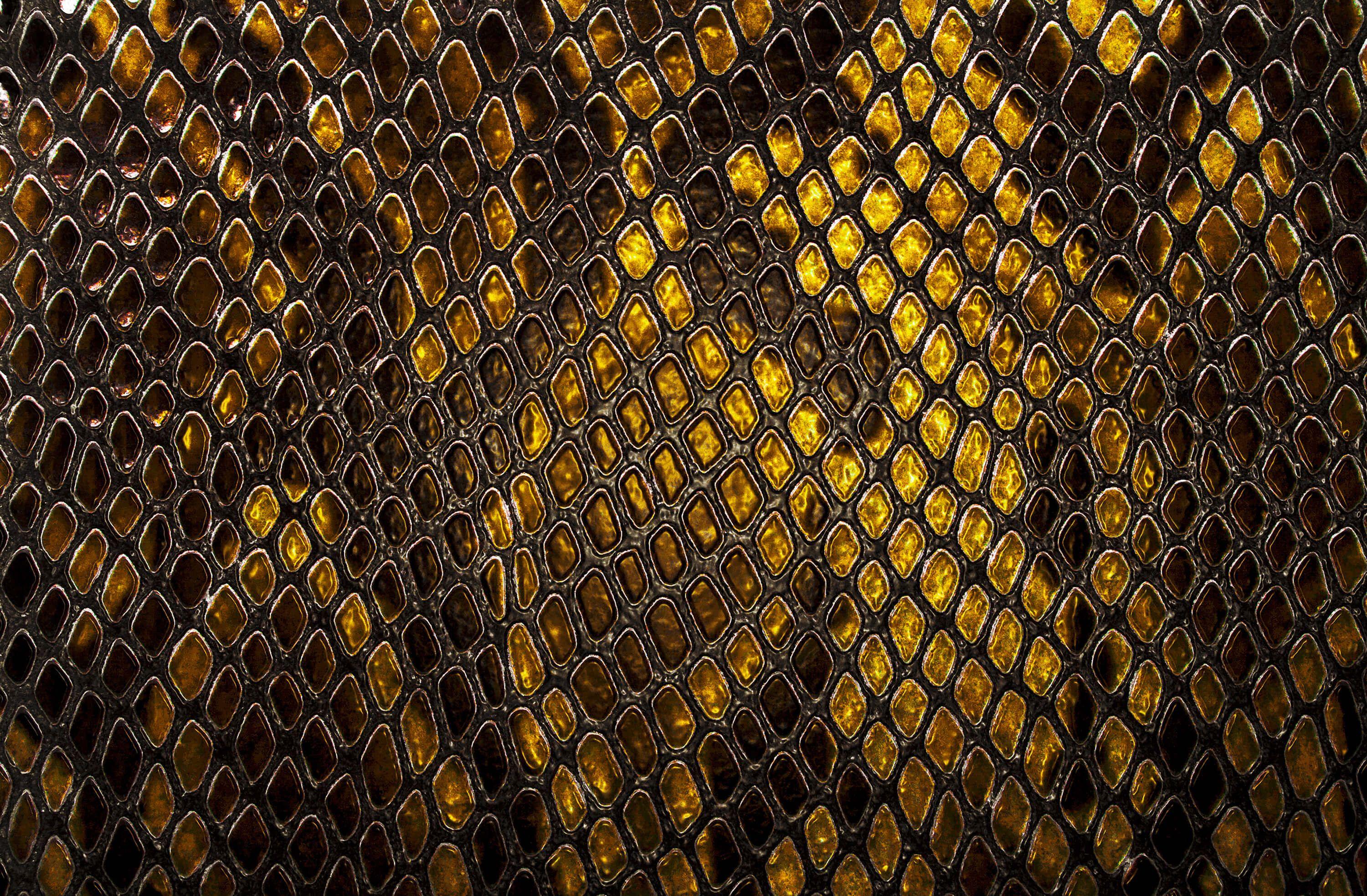 Snake Texture Wallpapers - Top Free Snake Texture Backgrounds ...