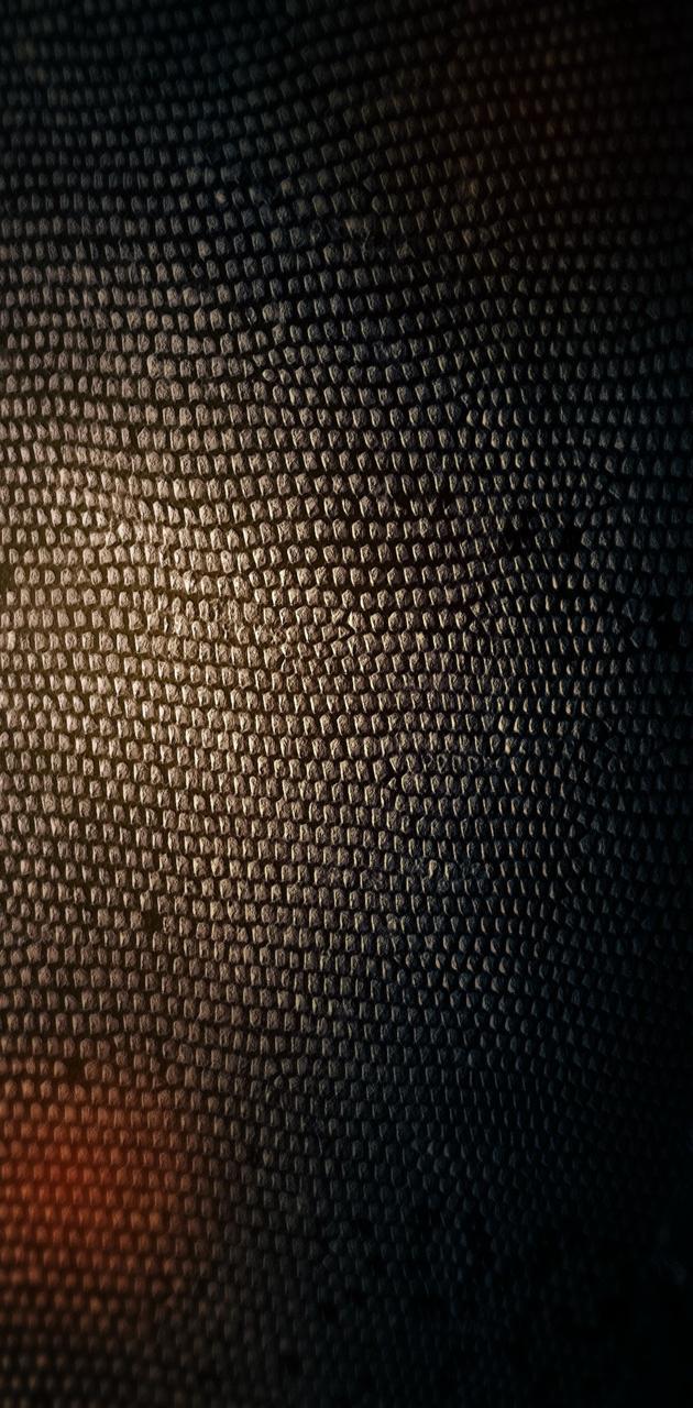 Snake Texture Wallpapers - Top Free Snake Texture Backgrounds ...