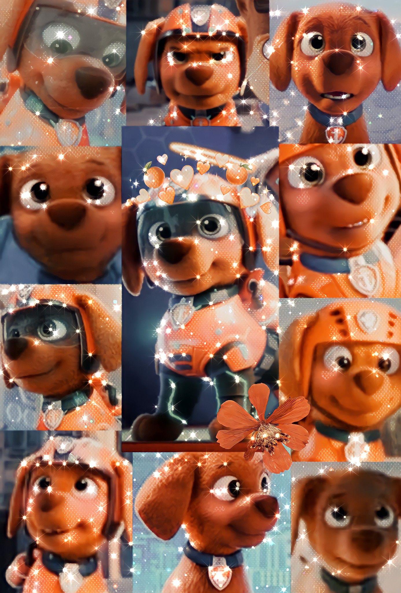 Zuma Paw Patrol Wallpapers - Top Free Zuma Paw Patrol Backgrounds ...