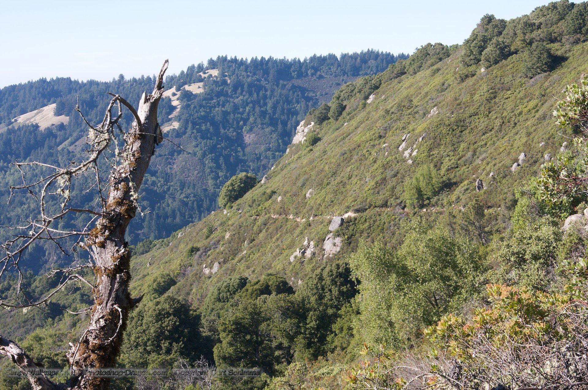 Hiking Trail Wallpapers - Top Free Hiking Trail Backgrounds ...