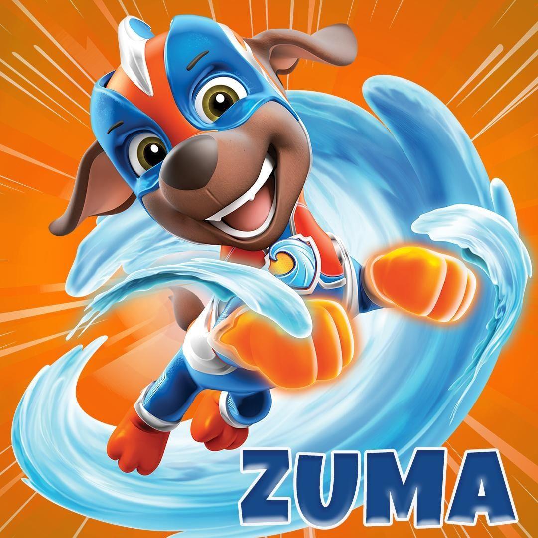 Zuma Paw Patrol Wallpapers - Top Free Zuma Paw Patrol Backgrounds ...