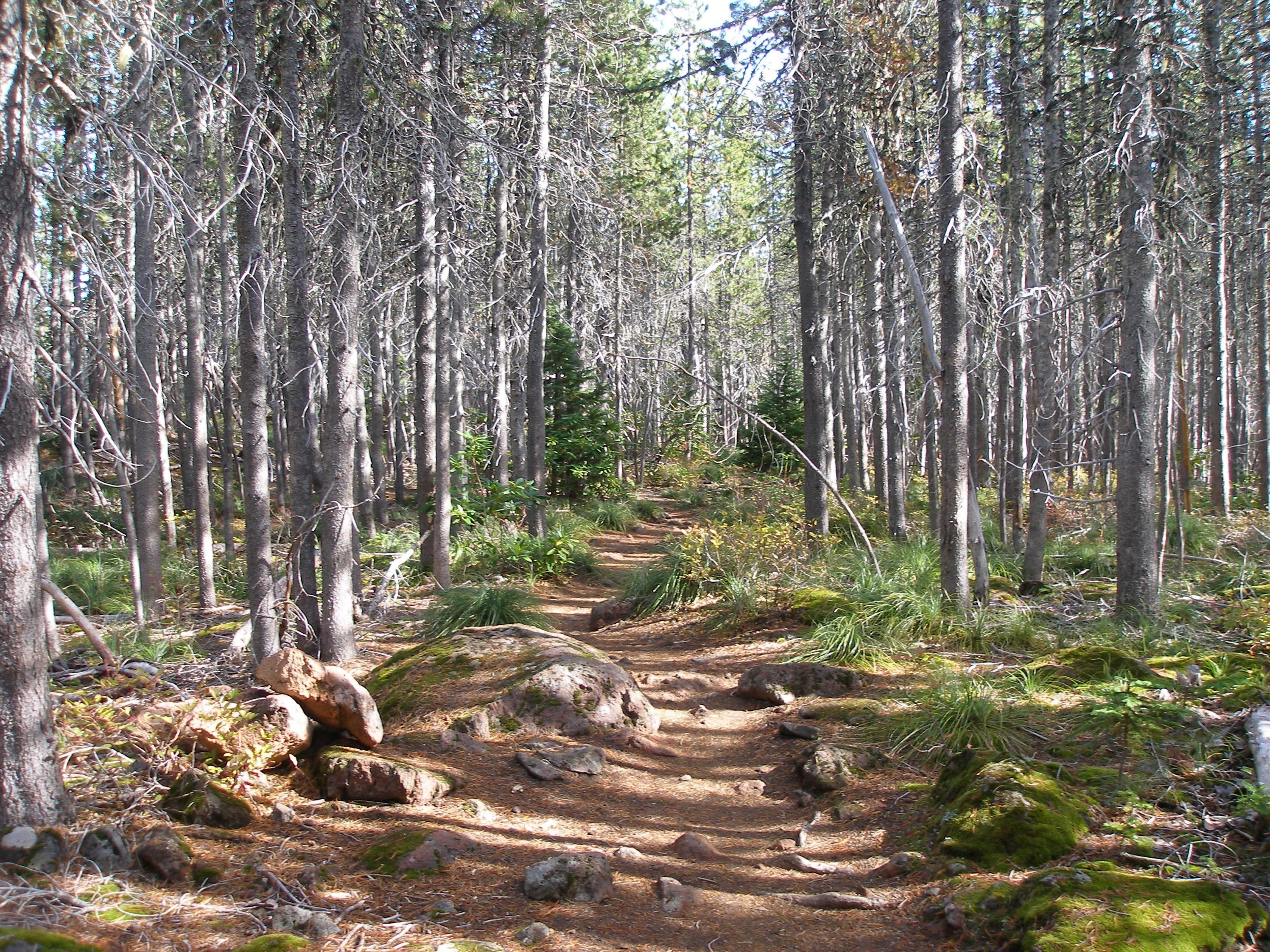 Hiking Desktop Wallpapers - Top Free Hiking Desktop Backgrounds ...