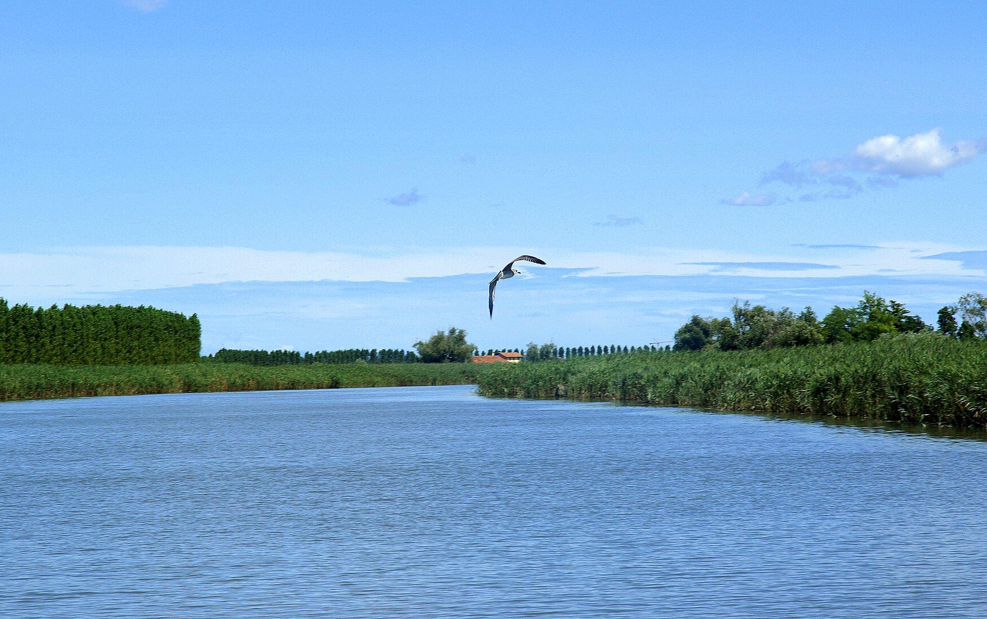 Calm River Wallpapers - Top Free Calm River Backgrounds - WallpaperAccess