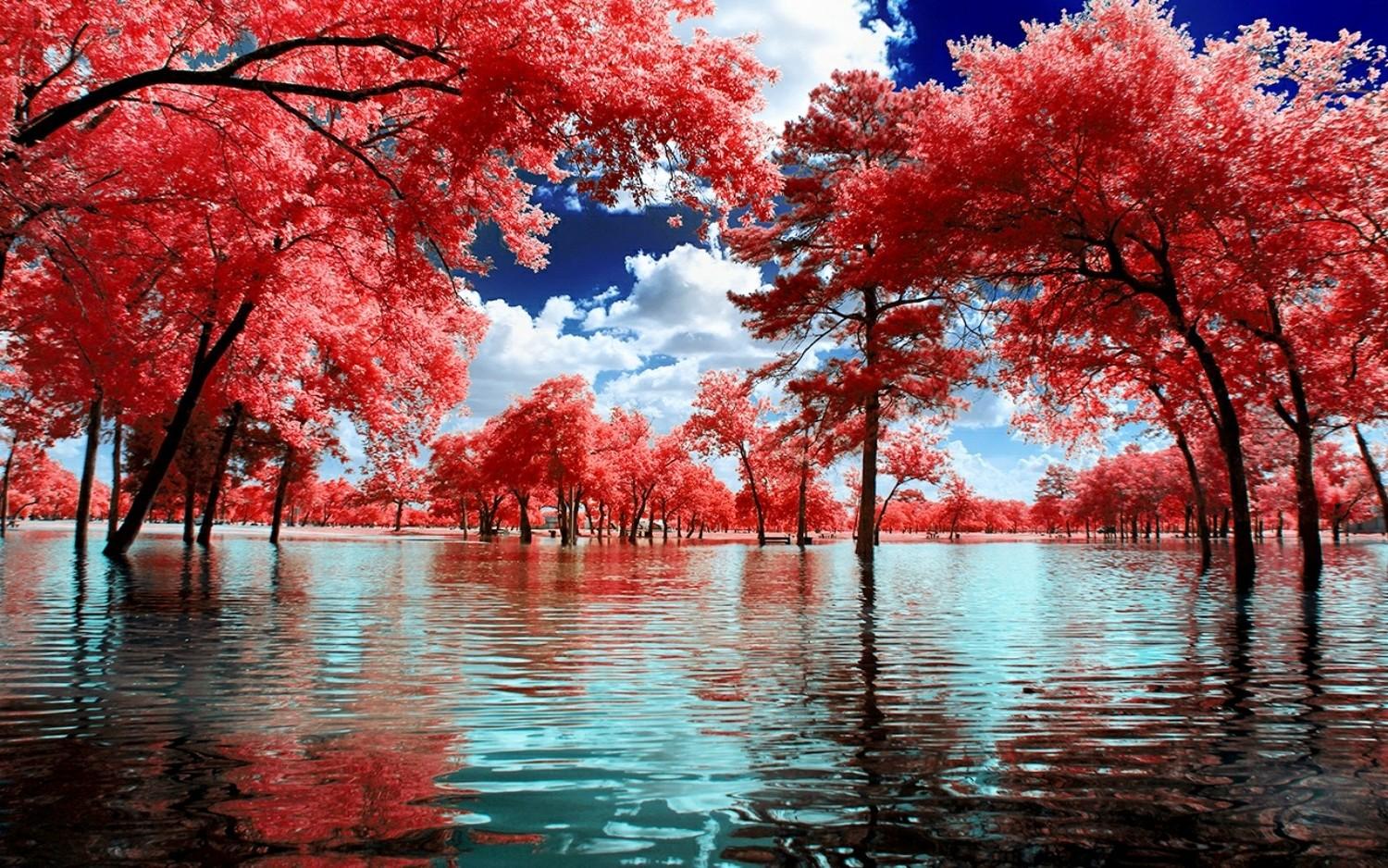 Surreal Nature Wallpapers - Top Free Surreal Nature Backgrounds ...