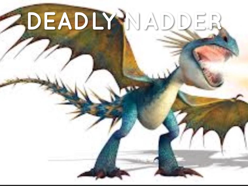 Deadly Nadder Wallpapers - Top Free Deadly Nadder Backgrounds ...