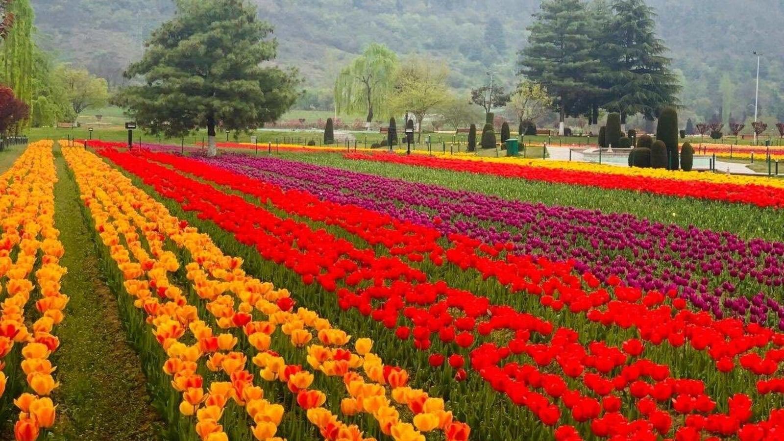 Jammu Kashmir Wallpapers - Top Free Jammu Kashmir Backgrounds ...