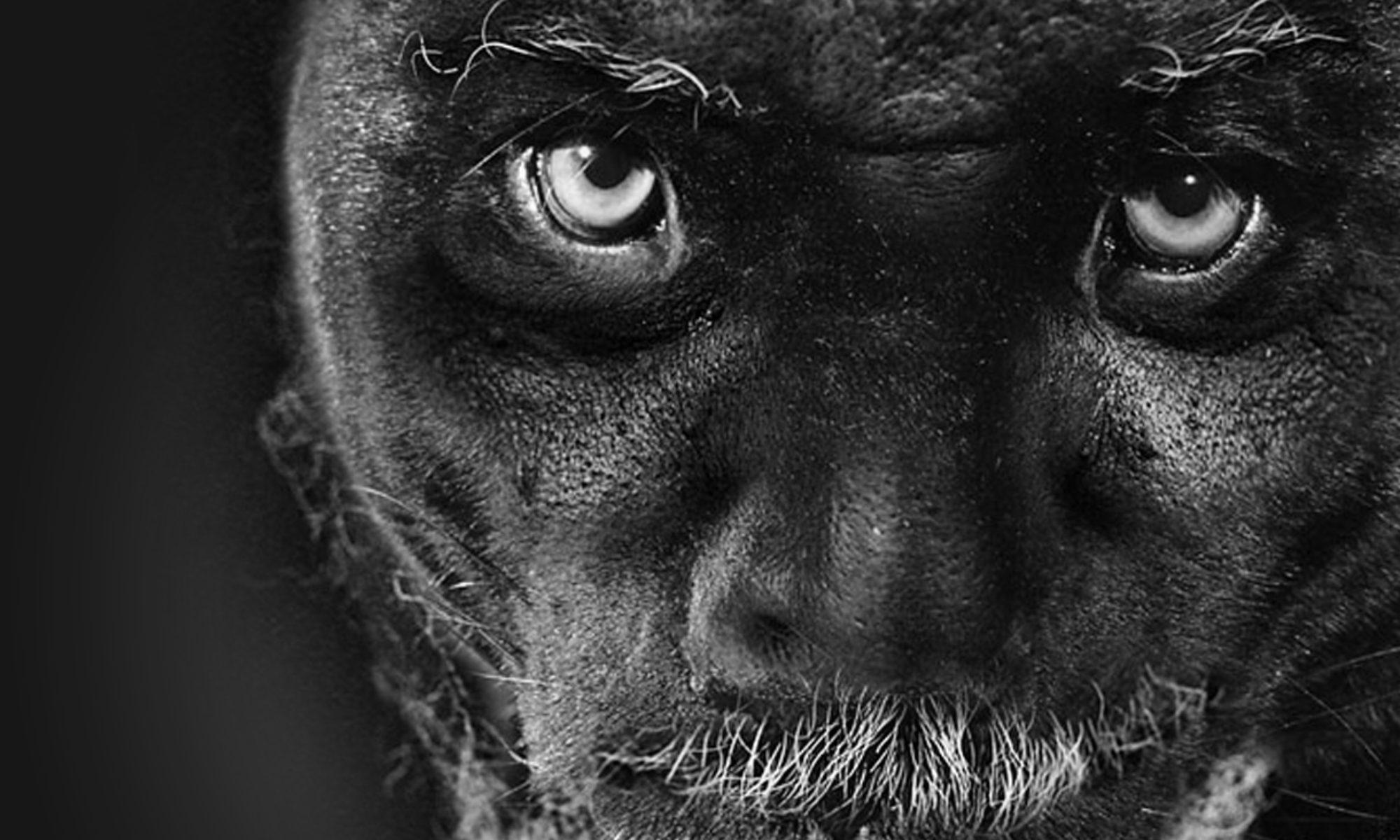 Massaka Wallpapers - Top Free Massaka Backgrounds - WallpaperAccess