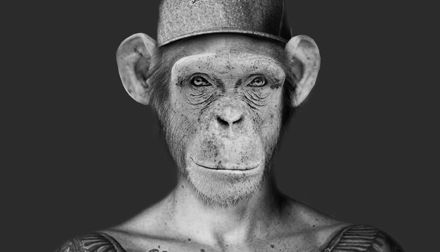 Massaka Wallpapers - Top Free Massaka Backgrounds - WallpaperAccess