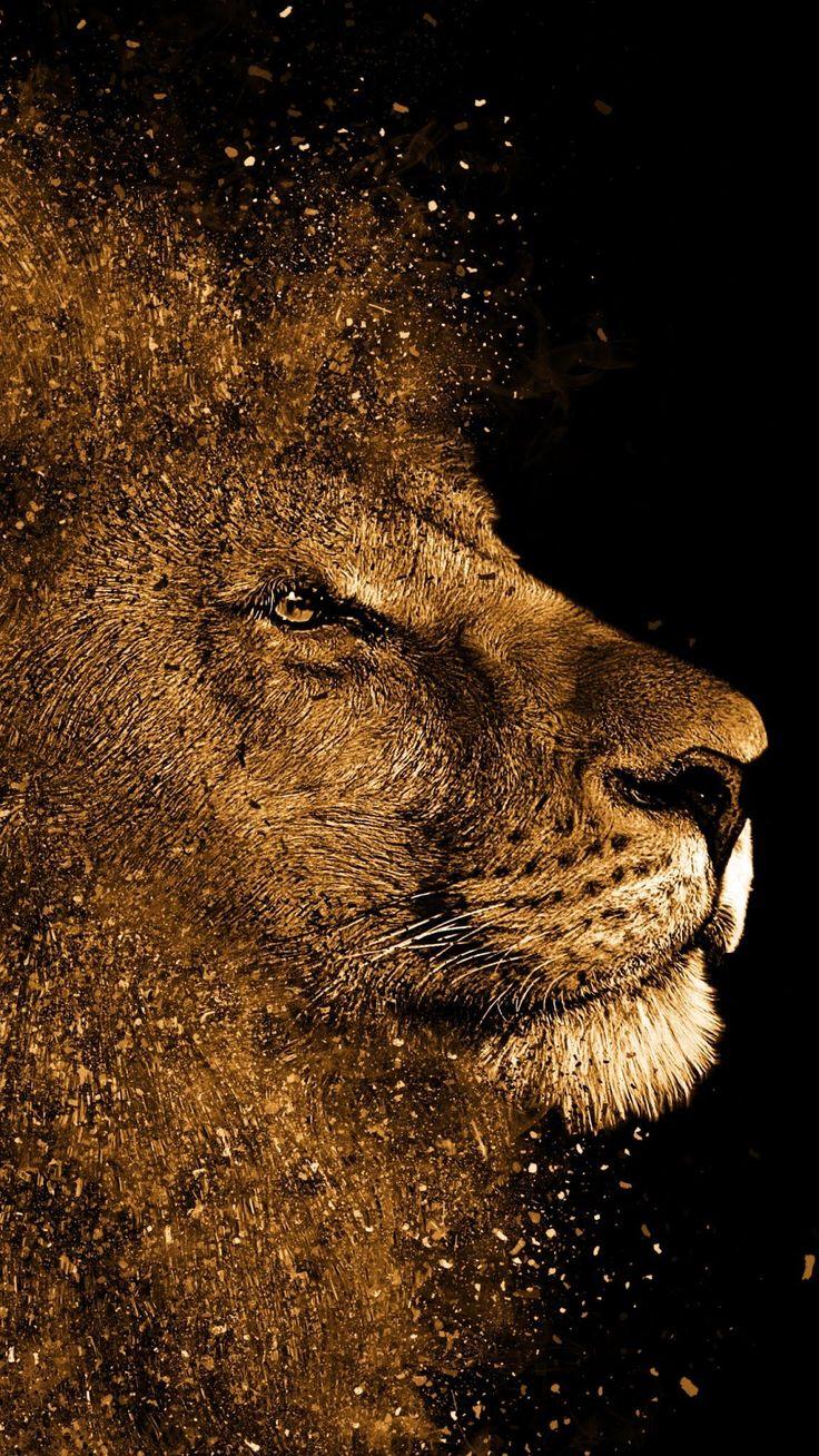 Lion For Mobile Wallpapers - Top Free Lion For Mobile Backgrounds ...