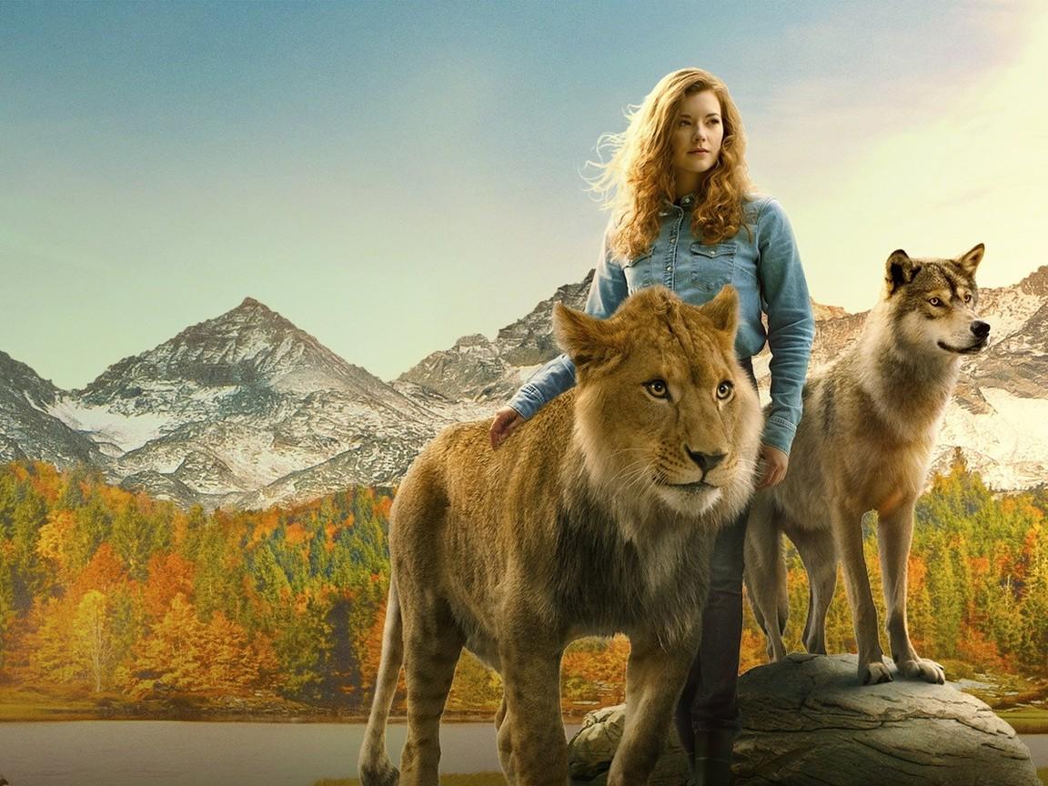 Wolf and Lion Wallpapers - Top Free Wolf and Lion Backgrounds ...