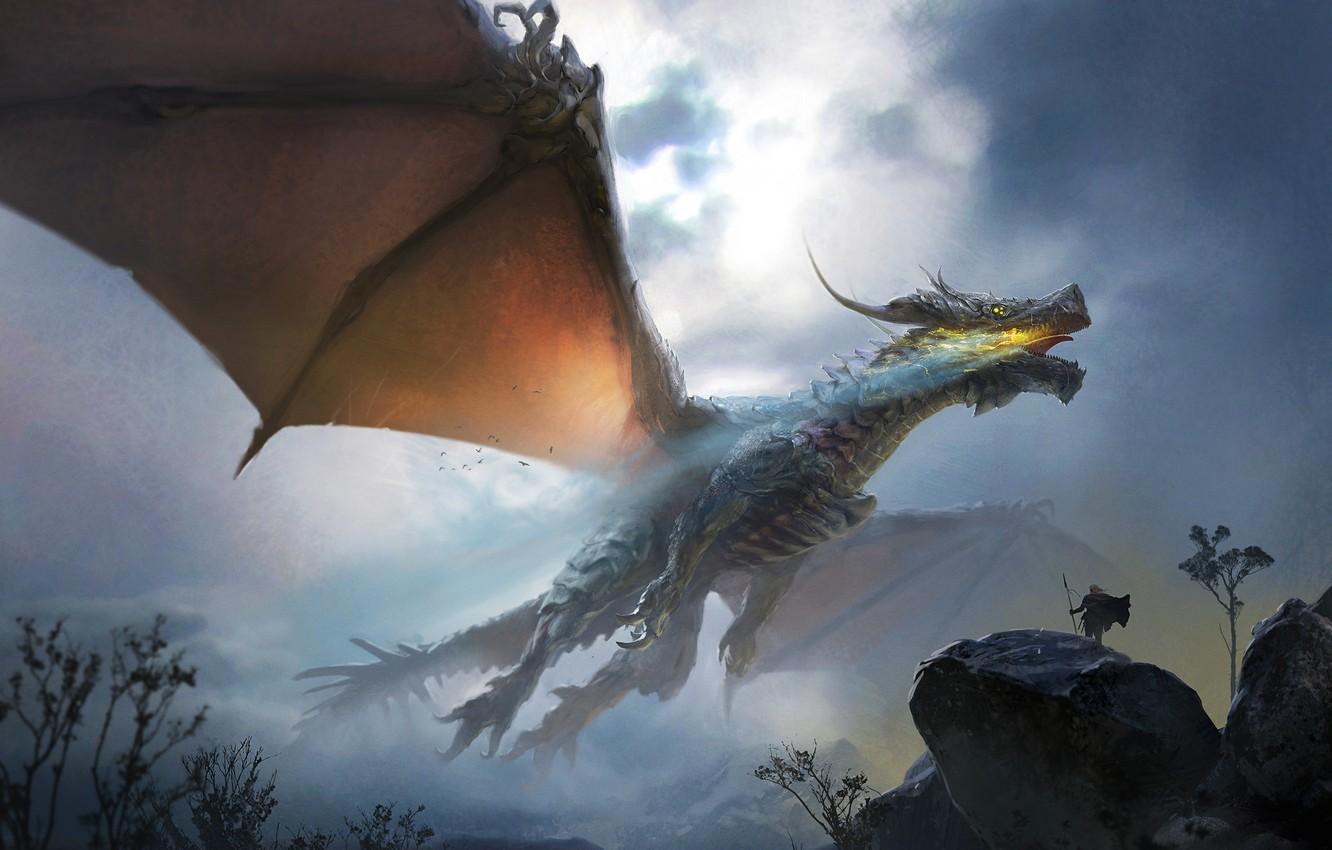 Dragonflight Wallpapers - Top Free Dragonflight Backgrounds ...