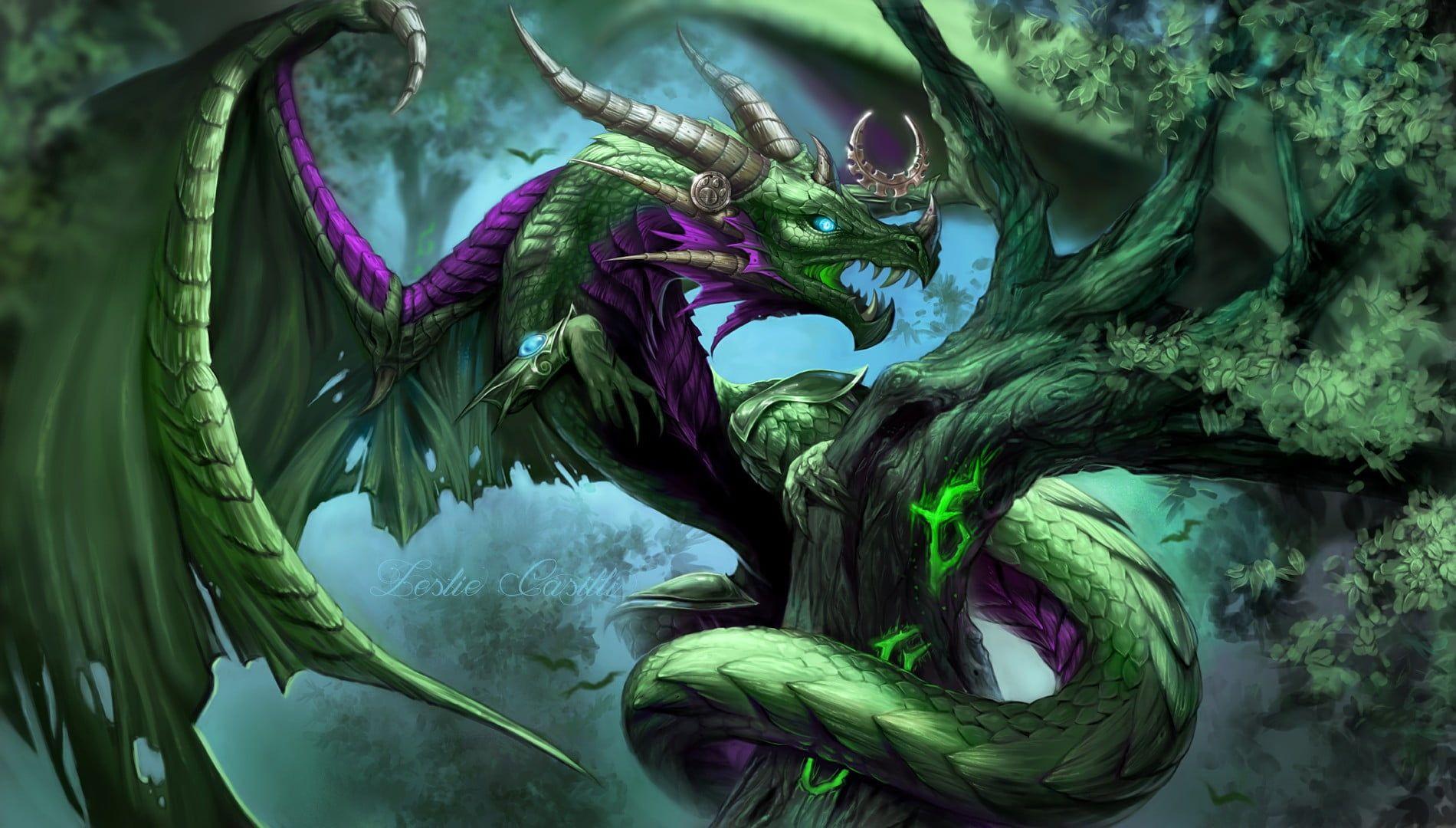 Dragonflight Wallpapers - Top Free Dragonflight Backgrounds ...