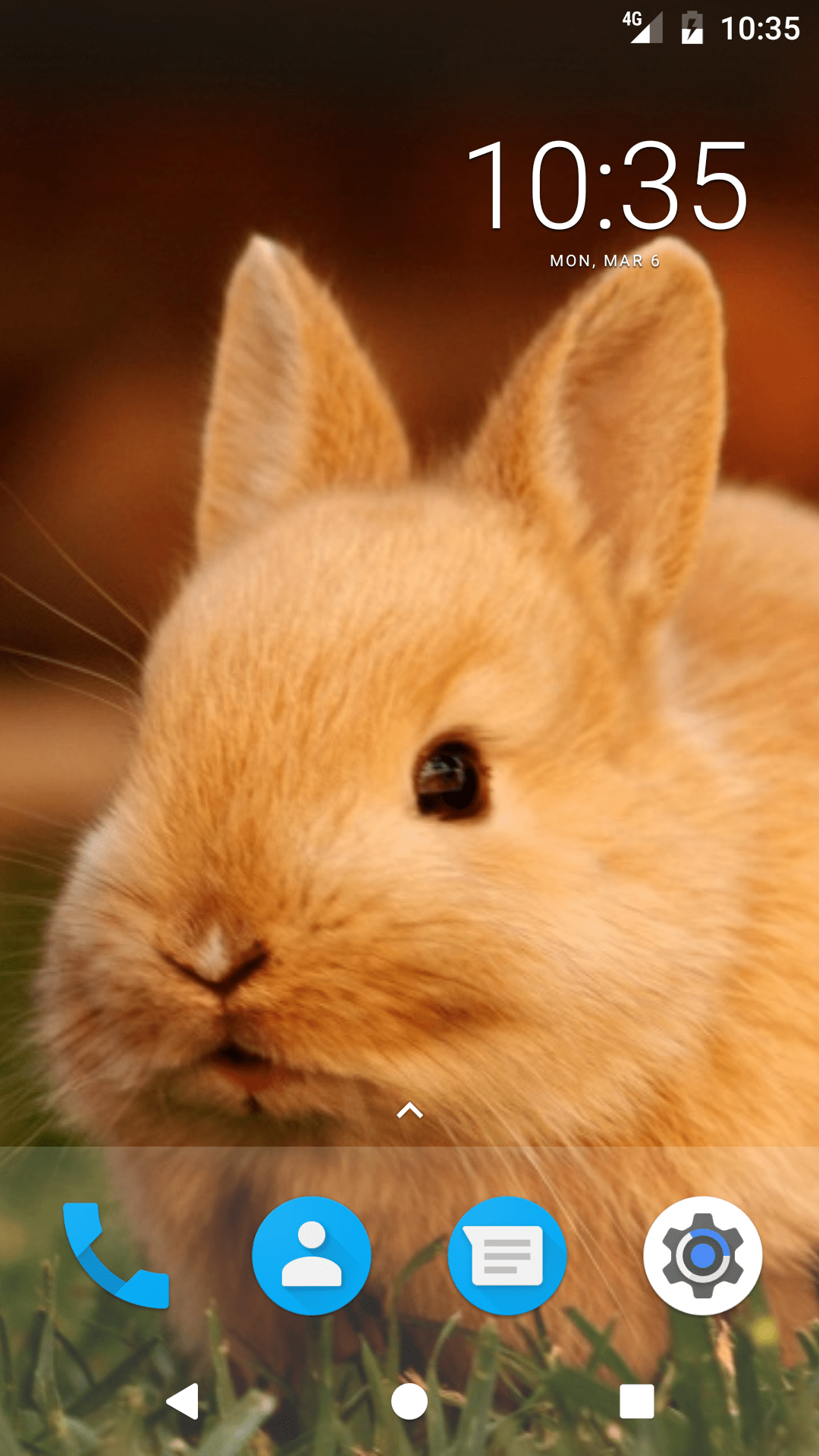 Awesome Bunny Wallpapers - Top Free Awesome Bunny Backgrounds ...