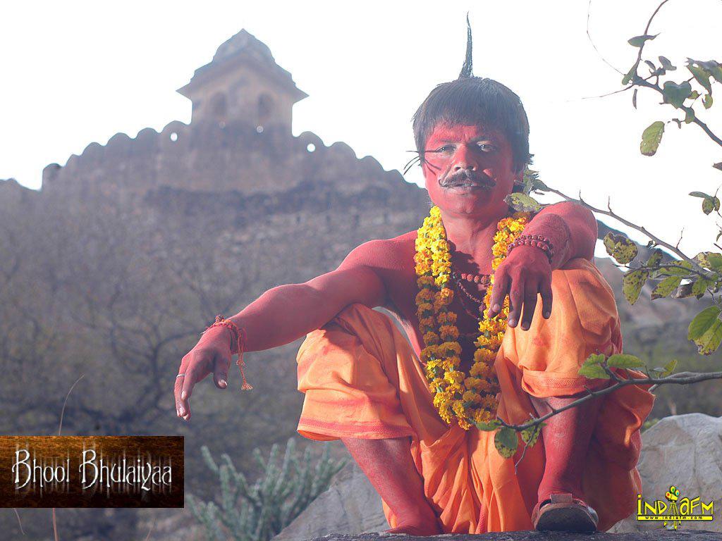 Bhool Bhulaiyaa Wallpapers - Top Free Bhool Bhulaiyaa Backgrounds ...